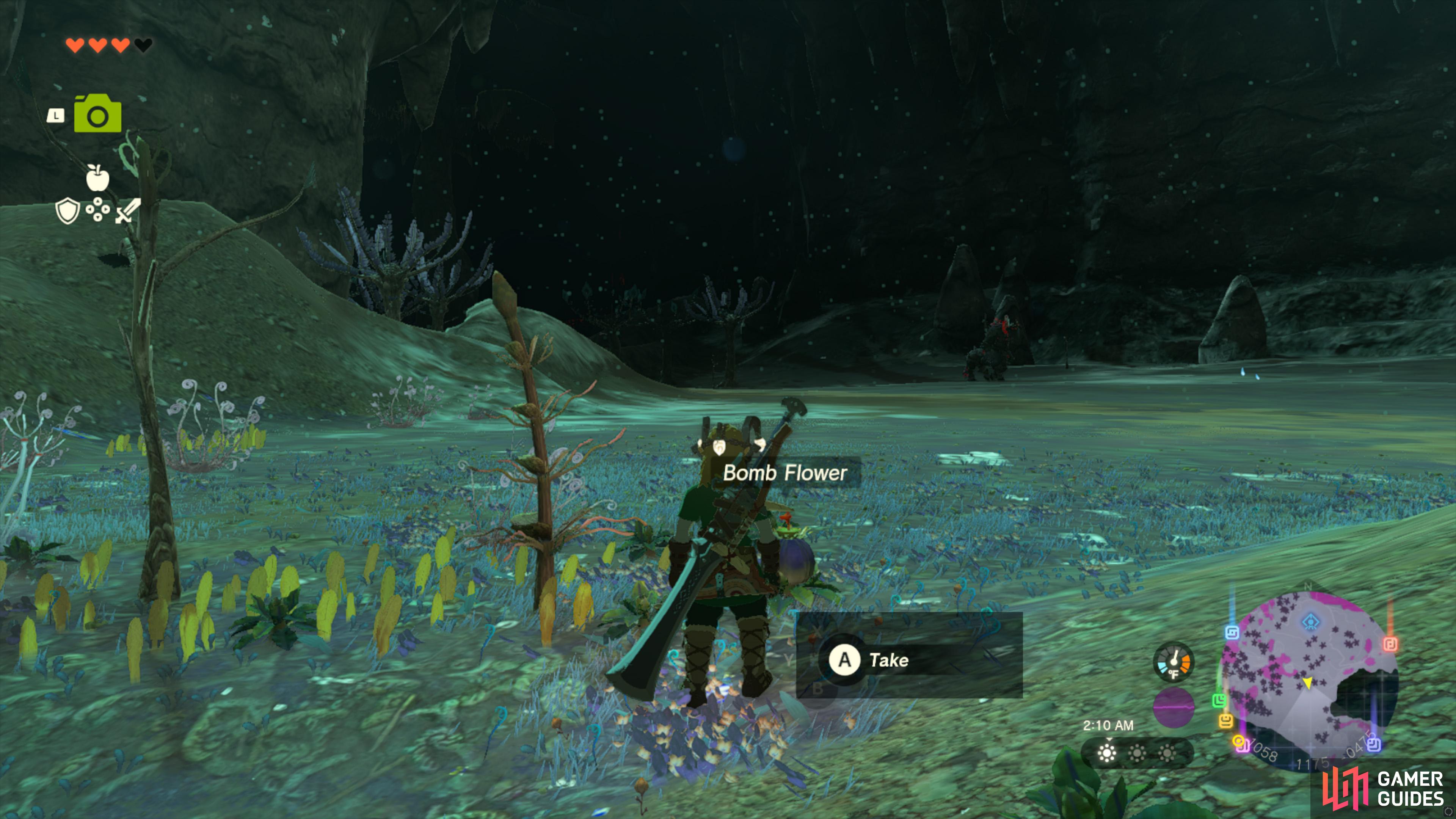 Bomb Flower - The Legend of Zelda: Tears of the Kingdom Database ...