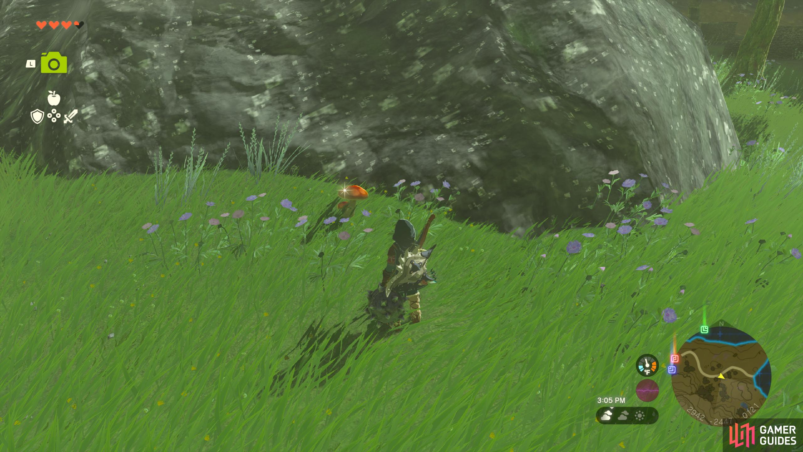 Hylian Shroom - The Legend of Zelda: Tears of the Kingdom Database ...