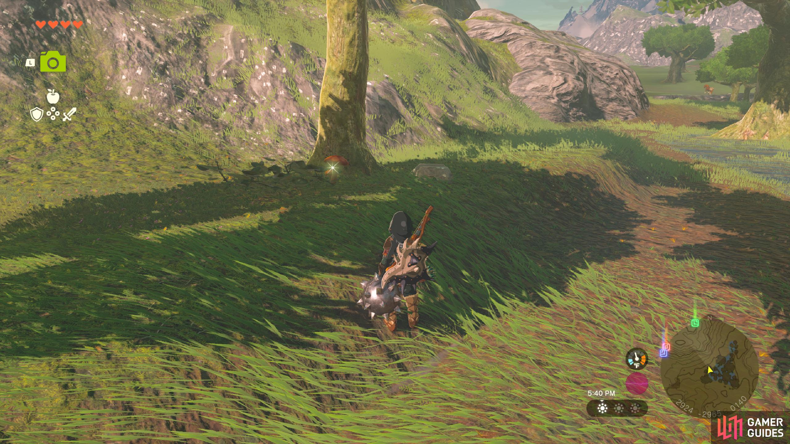 Hylian Shroom - The Legend of Zelda: Tears of the Kingdom Database ...