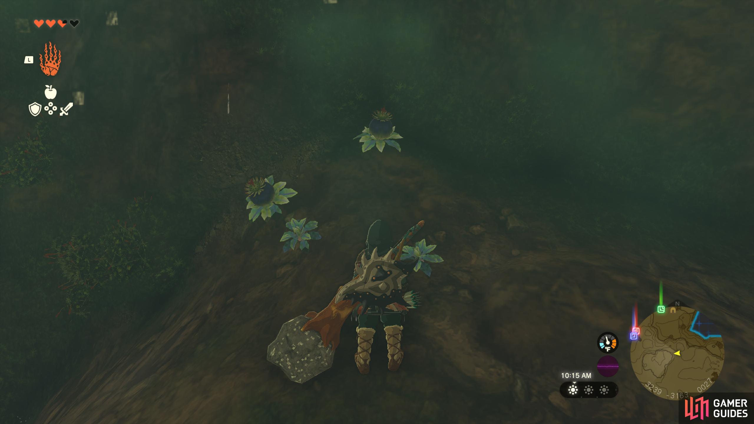 Bomb Flower - The Legend of Zelda: Tears of the Kingdom Database ...