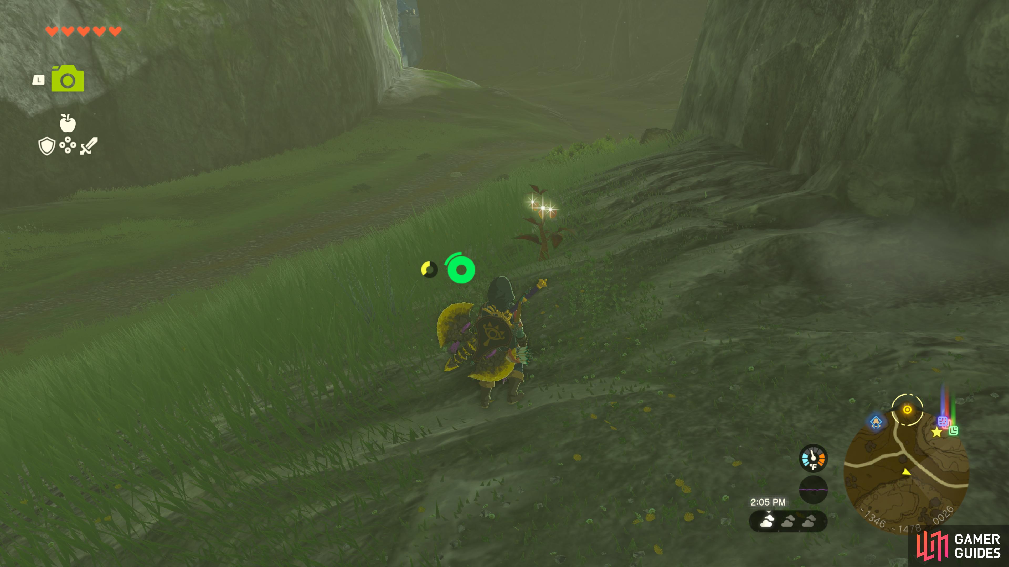 Fire Fruit - The Legend of Zelda: Tears of the Kingdom Database | Gamer ...