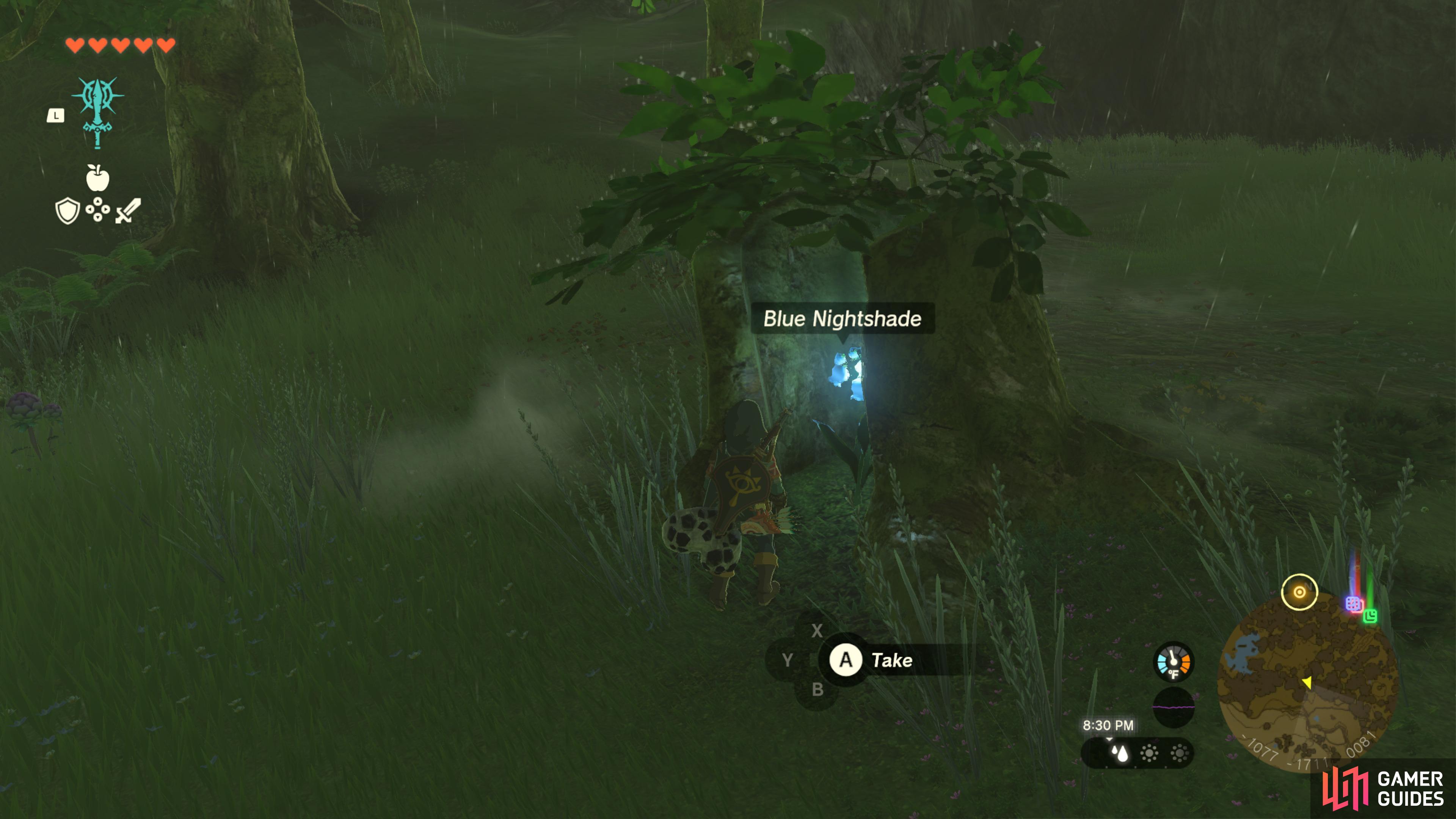 Blue Nightshade - The Legend of Zelda: Tears of the Kingdom Database ...