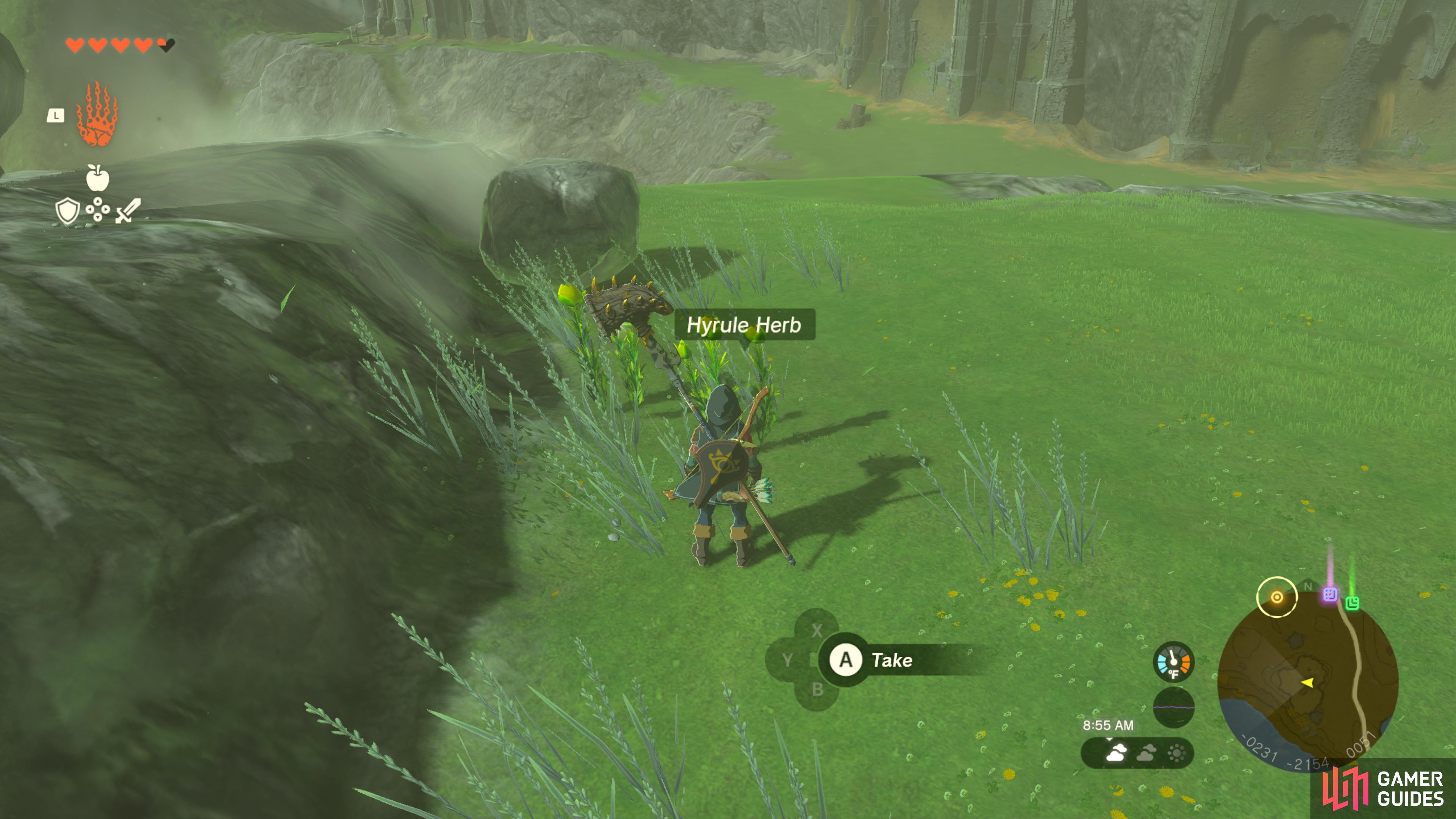 Hyrule Herb - The Legend of Zelda: Tears of the Kingdom Database ...