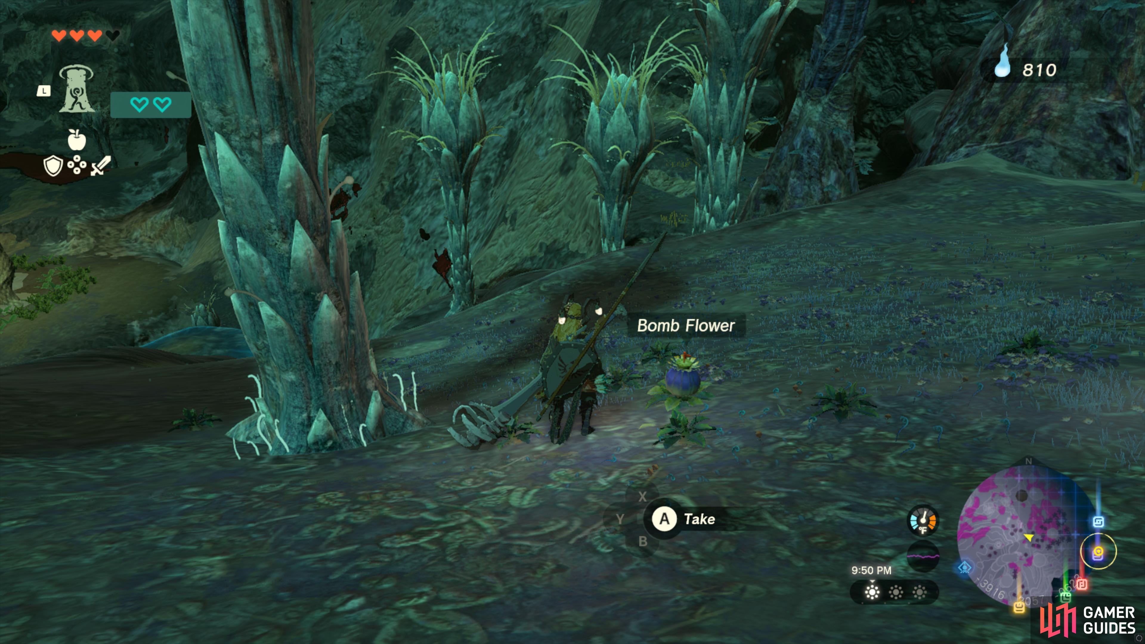 Bomb Flower - The Legend of Zelda: Tears of the Kingdom Database ...
