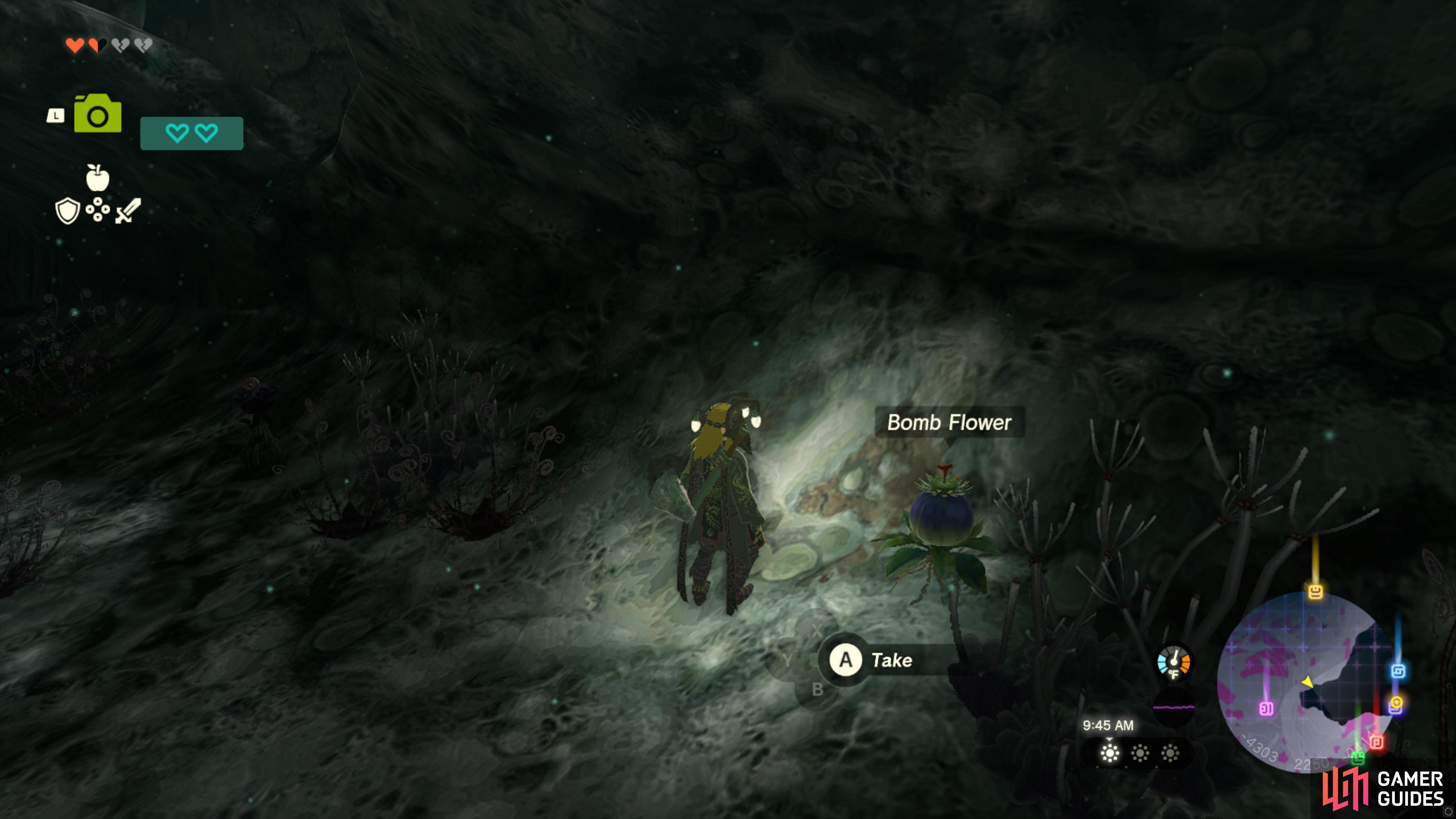 Bomb Flower - The Legend of Zelda: Tears of the Kingdom Database ...