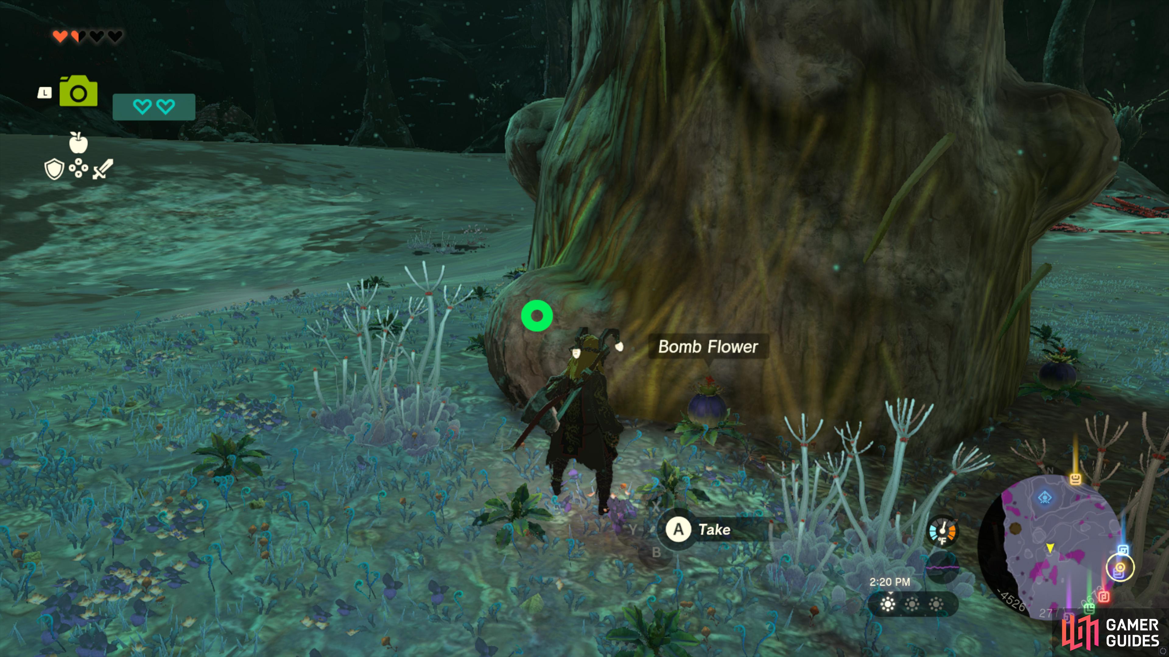 Bomb Flower - The Legend of Zelda: Tears of the Kingdom Database ...