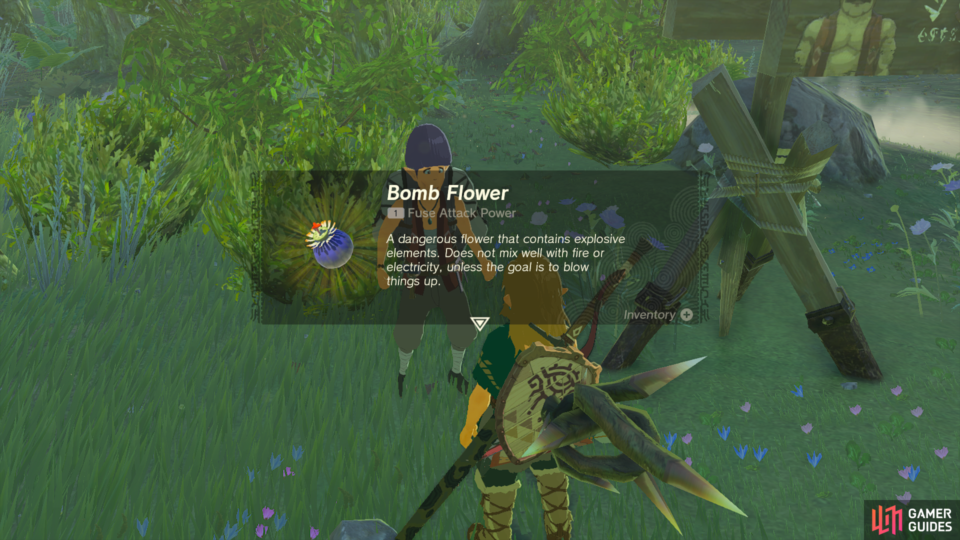 Bomb Flower - The Legend of Zelda: Tears of the Kingdom Database ...