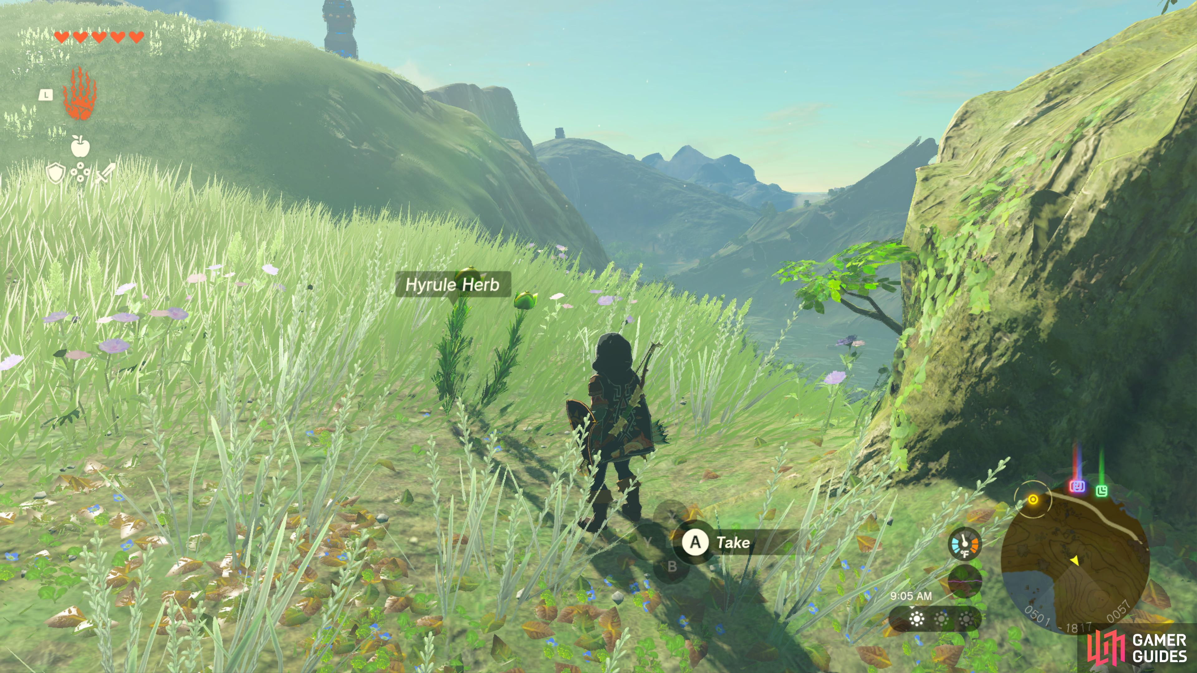 Hyrule Herb - The Legend of Zelda: Tears of the Kingdom Database ...