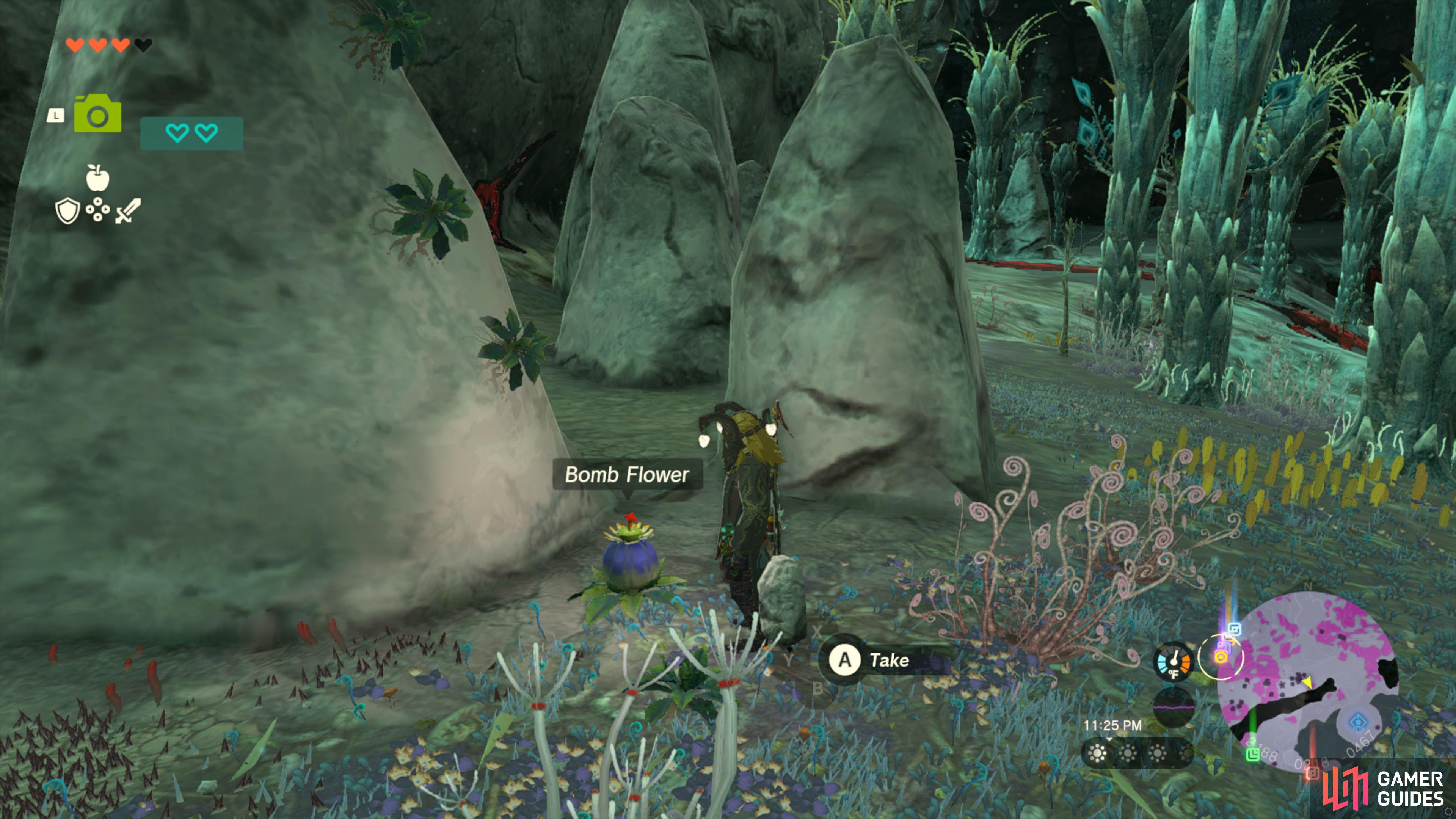 Bomb Flower - The Legend of Zelda: Tears of the Kingdom Database ...