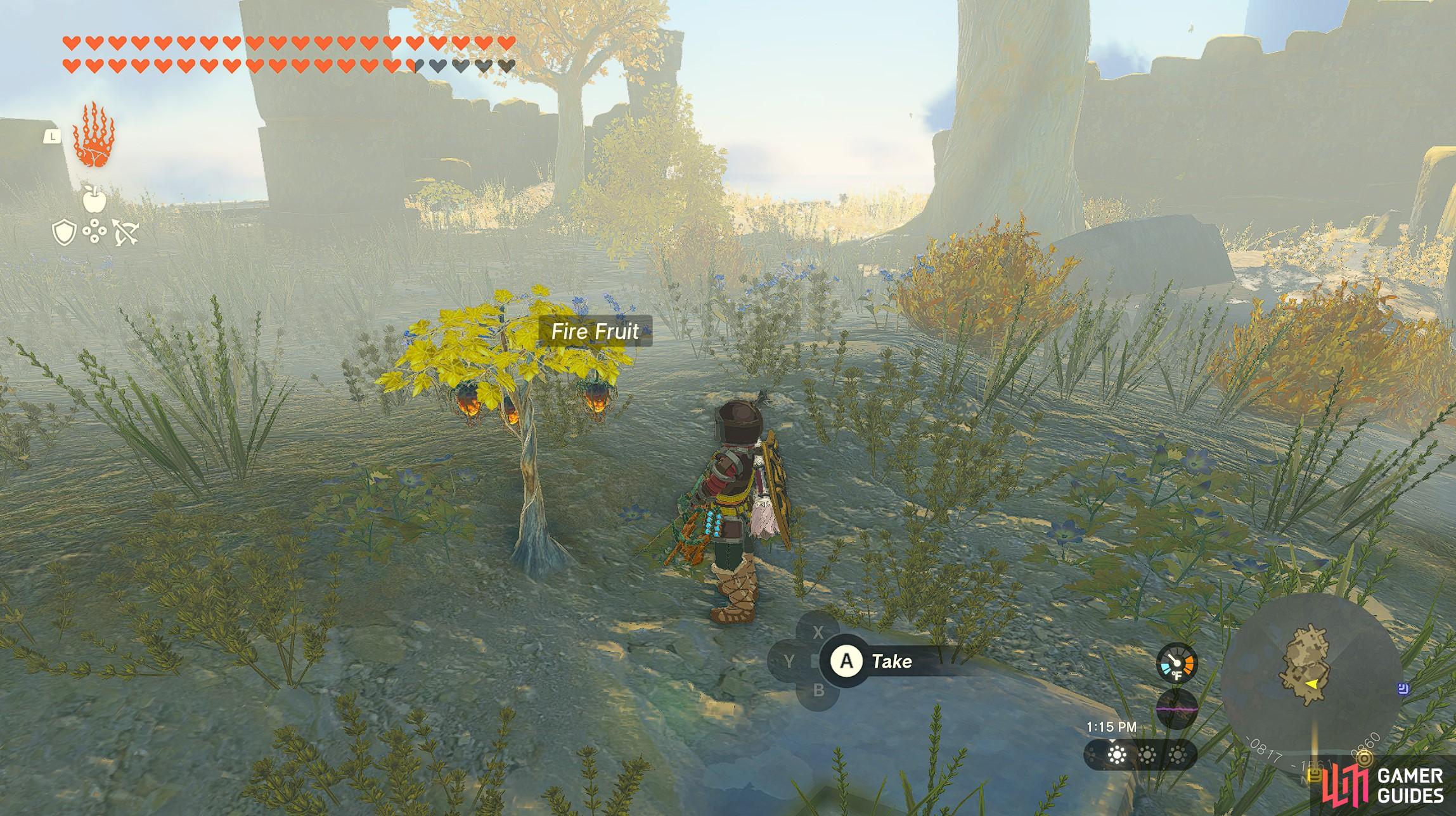 Fire Fruit - The Legend of Zelda: Tears of the Kingdom Database | Gamer ...