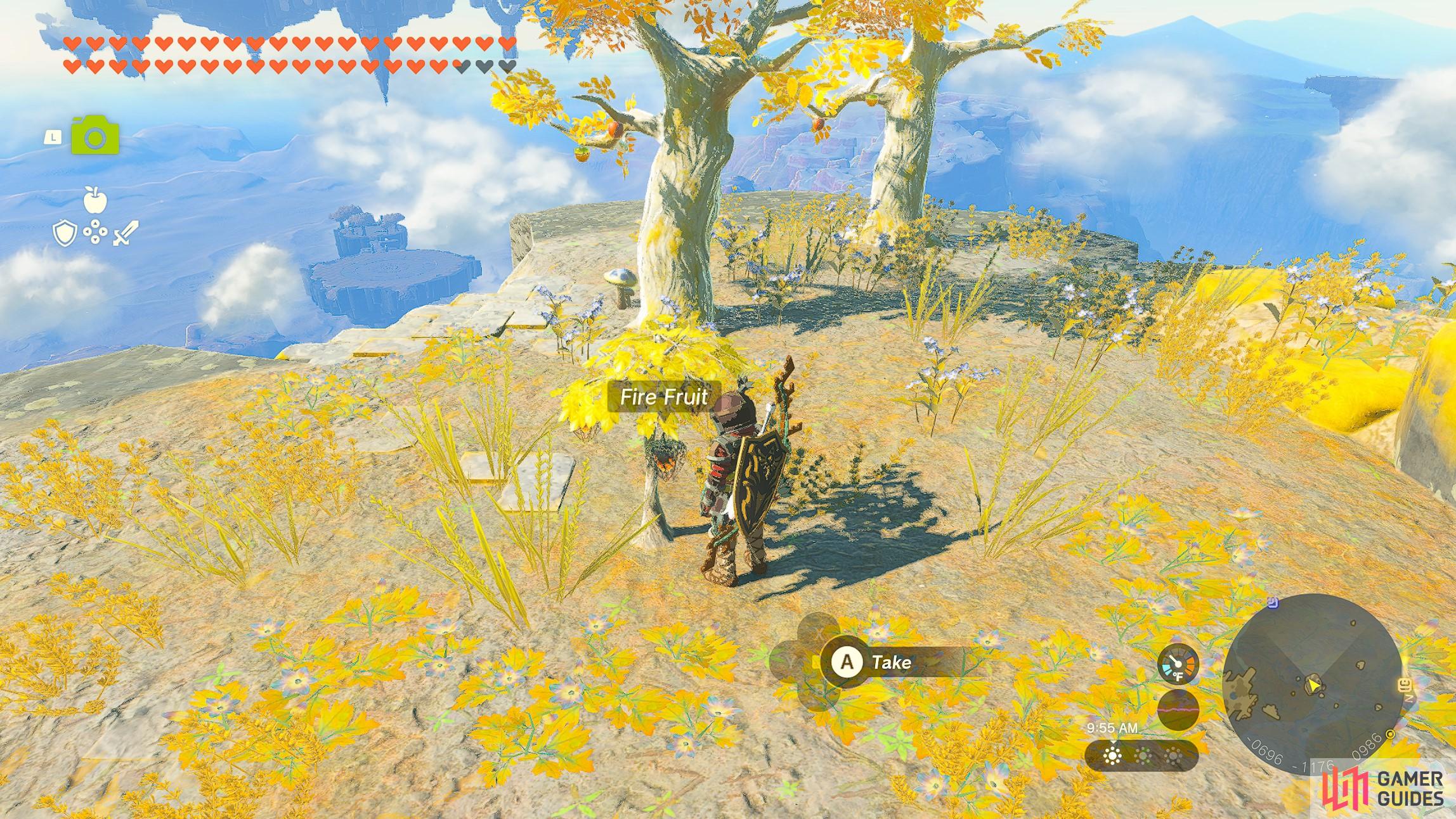 Fire Fruit - The Legend of Zelda: Tears of the Kingdom Database | Gamer ...