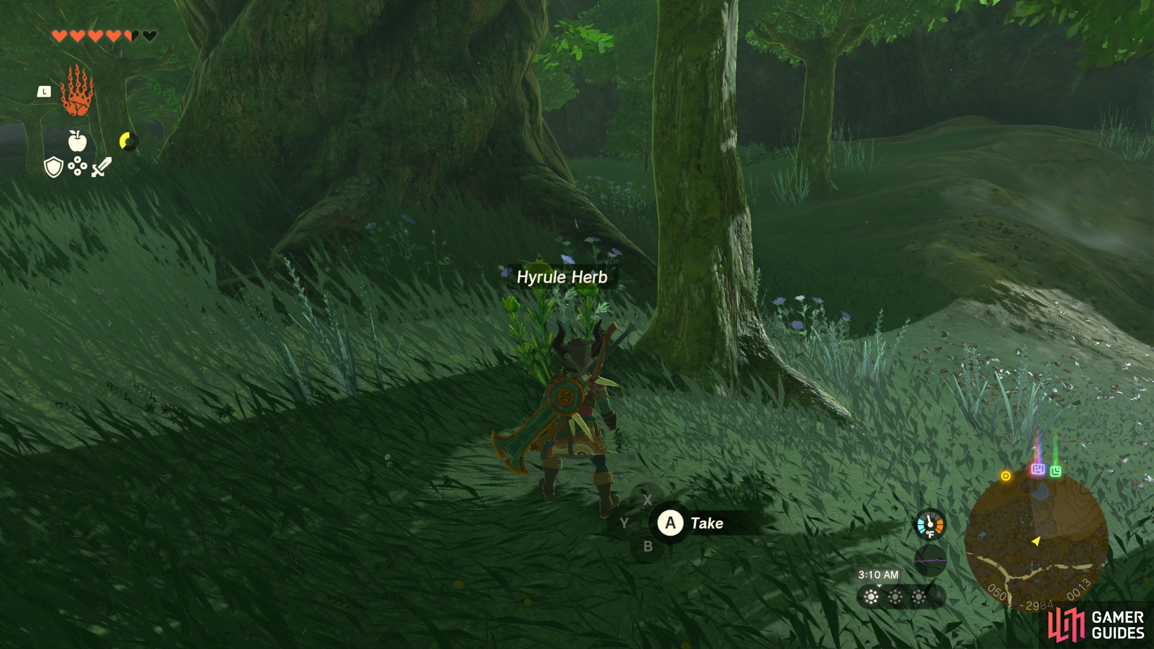 Hyrule Herb - The Legend of Zelda: Tears of the Kingdom Database ...