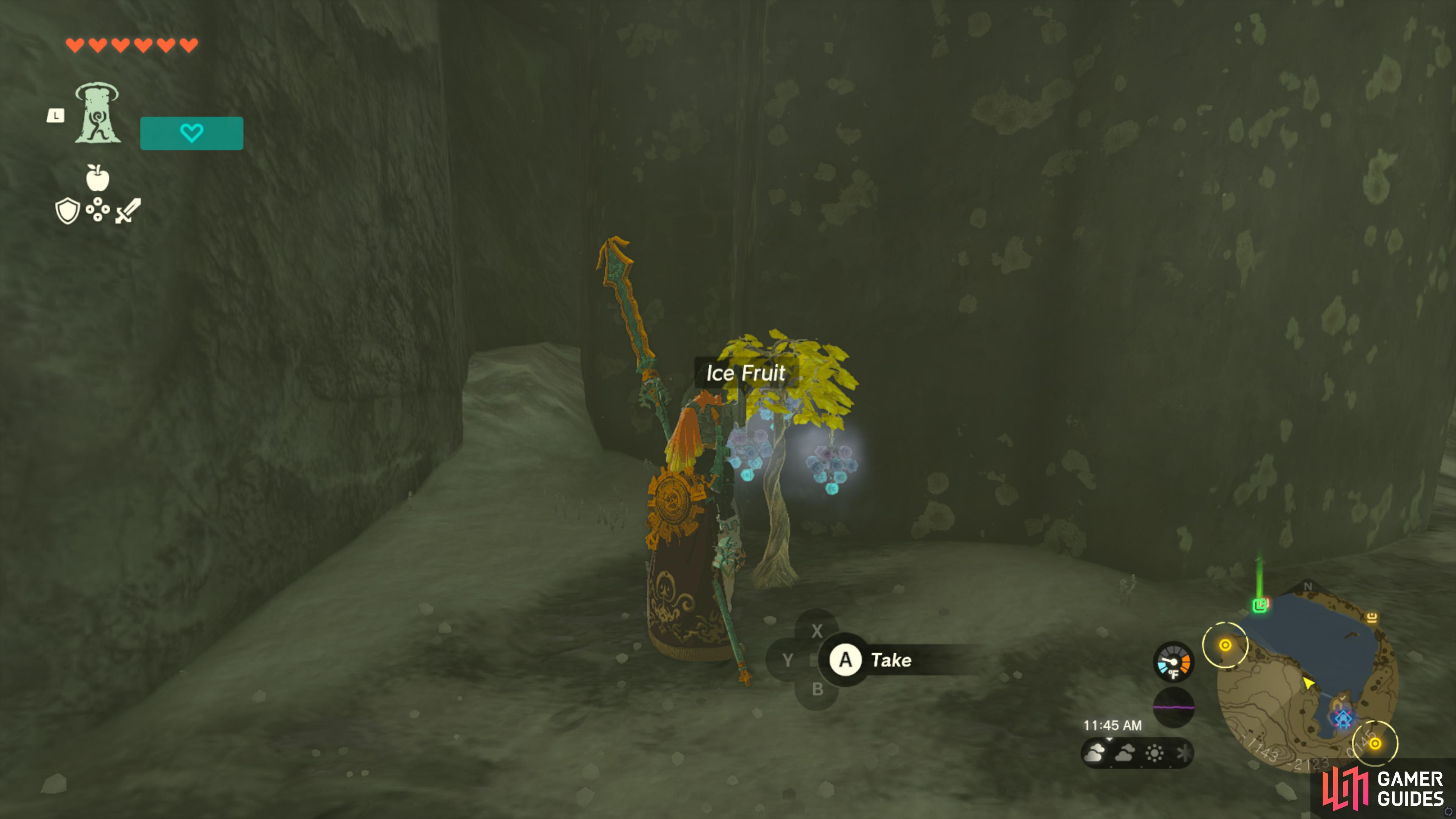 Ice Fruit - The Legend of Zelda: Tears of the Kingdom Database | Gamer ...
