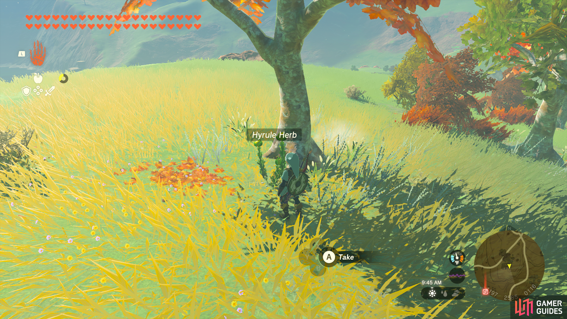 Hyrule Herb - The Legend of Zelda: Tears of the Kingdom Database ...