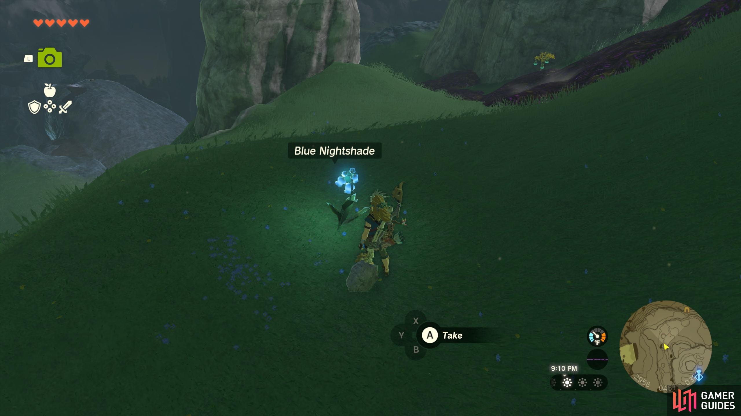 Blue Nightshade - The Legend of Zelda: Tears of the Kingdom Database ...