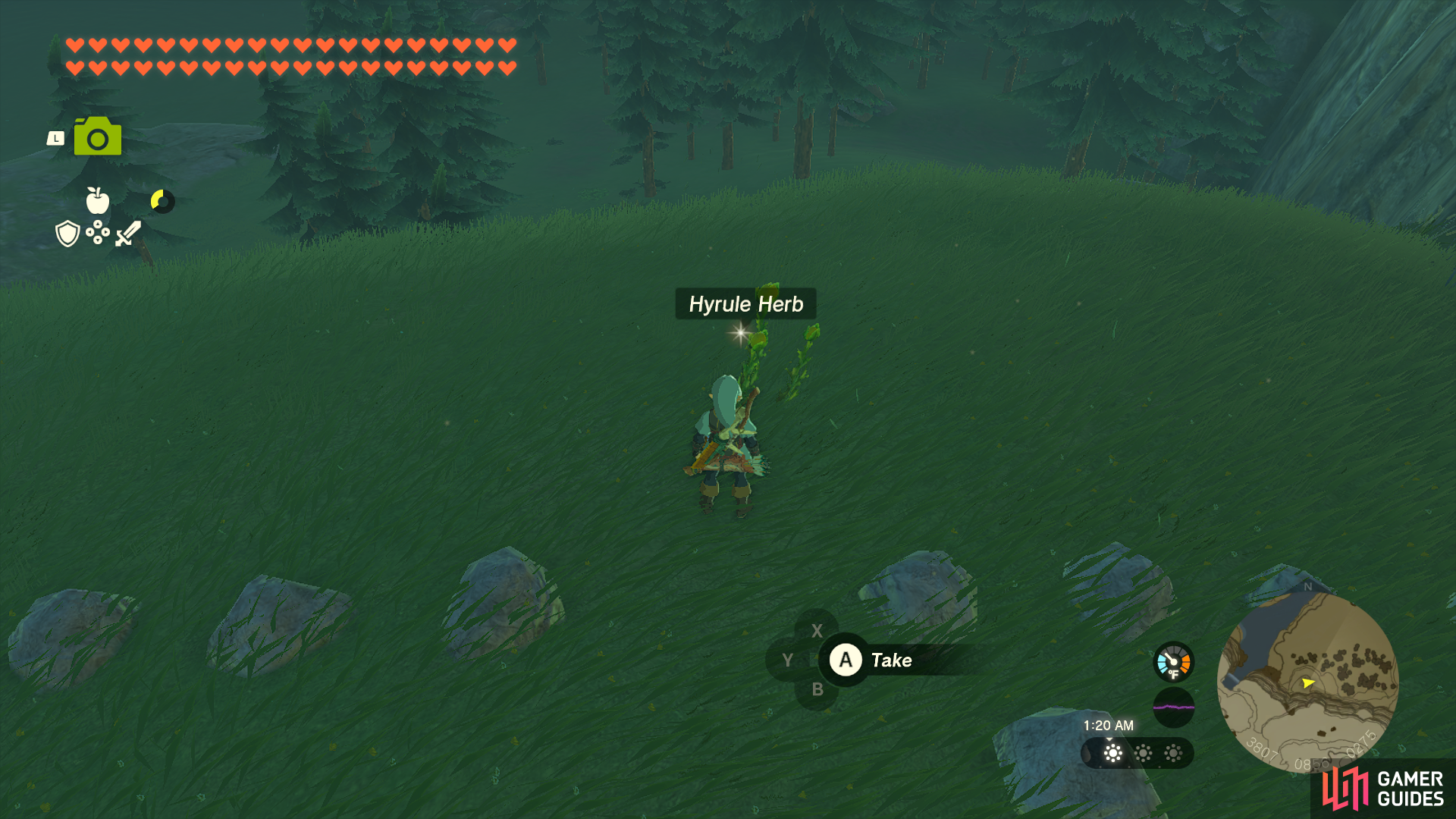 Hyrule Herb - The Legend of Zelda: Tears of the Kingdom Database ...