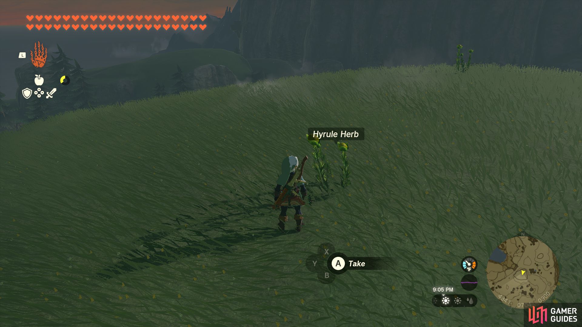 Hyrule Herb - The Legend of Zelda: Tears of the Kingdom Database ...