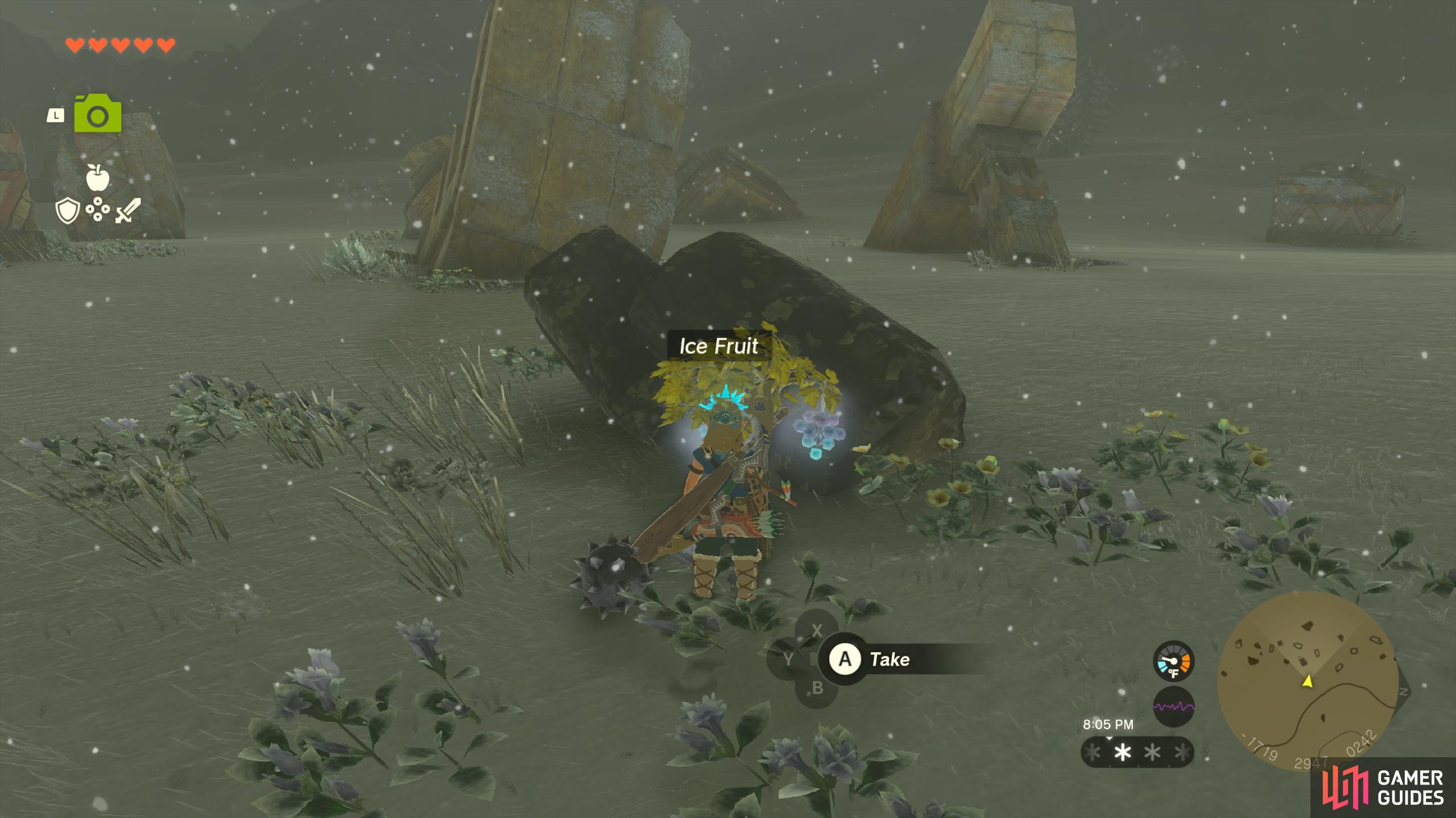 Ice Fruit - The Legend of Zelda: Tears of the Kingdom Database | Gamer ...