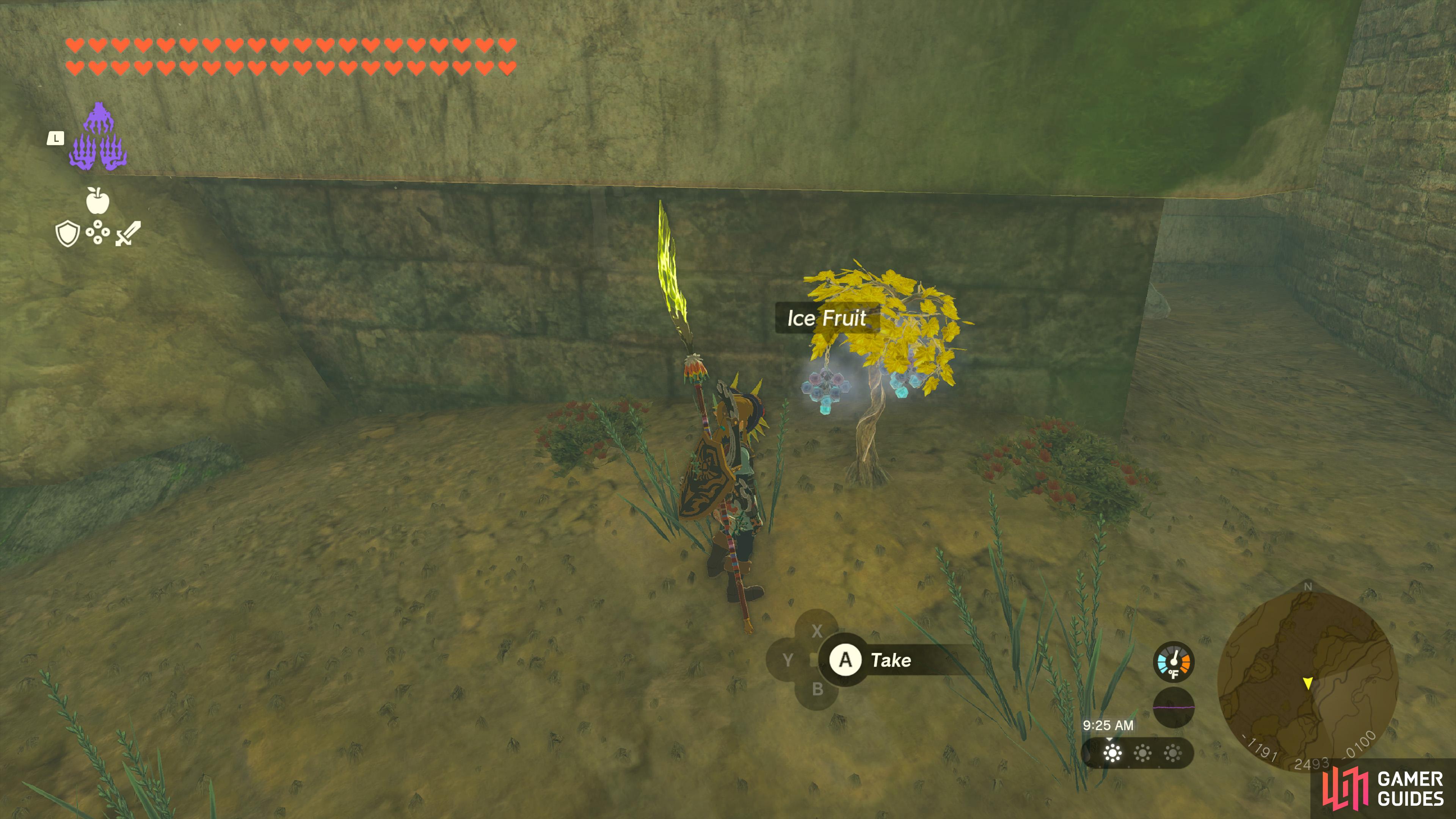 Ice Fruit - The Legend of Zelda: Tears of the Kingdom Database | Gamer ...