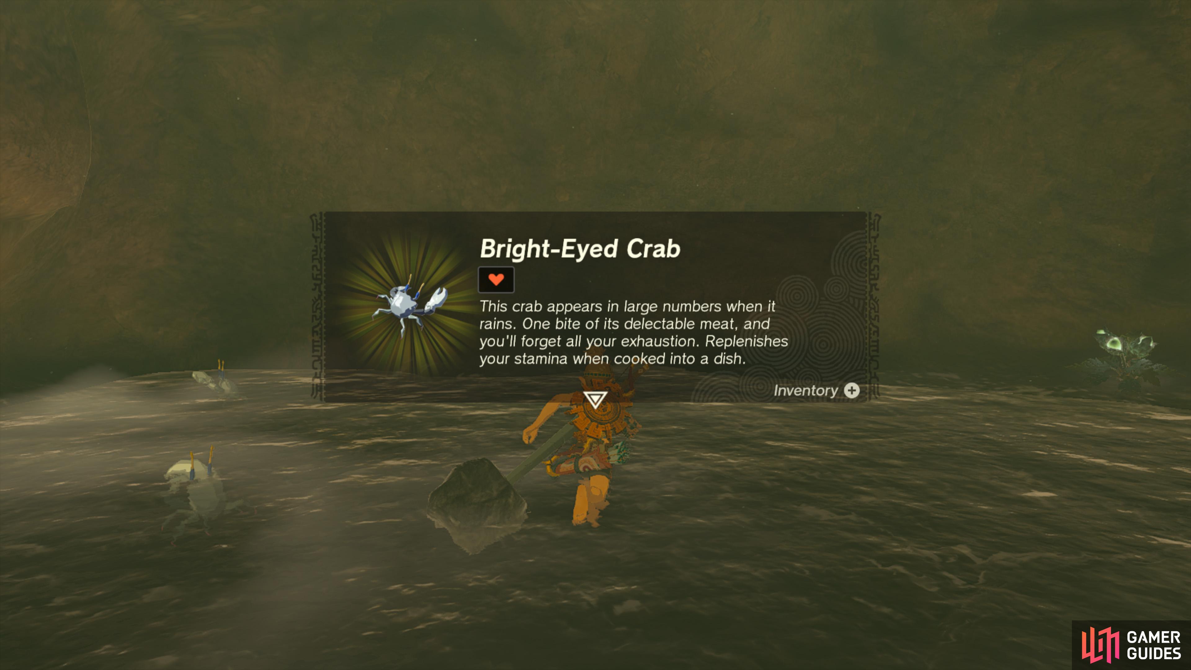 Bright-Eyed Crab - The Legend of Zelda: Tears of the Kingdom Database ...