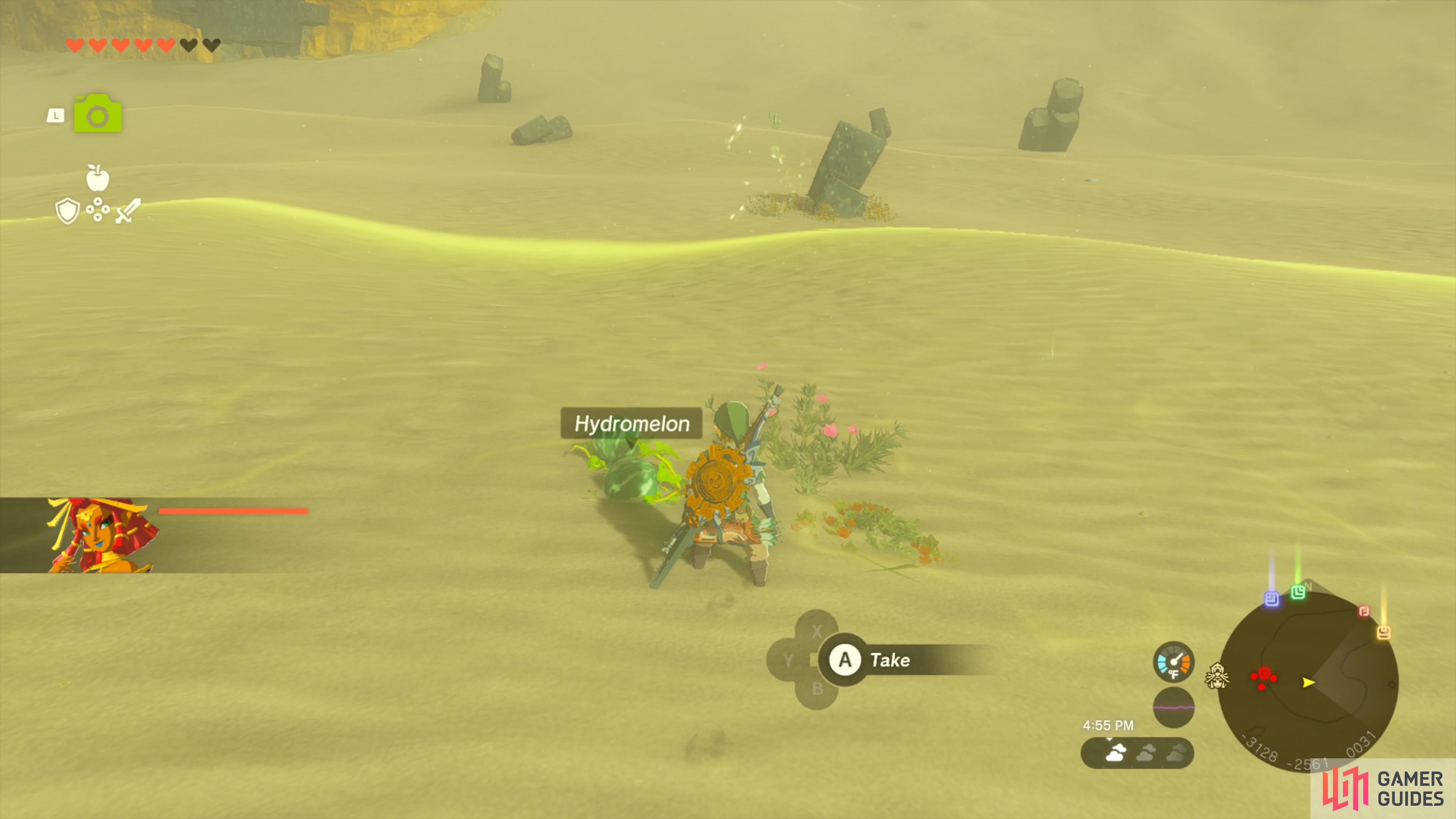 Hydromelon - The Legend of Zelda: Tears of the Kingdom Database | Gamer ...