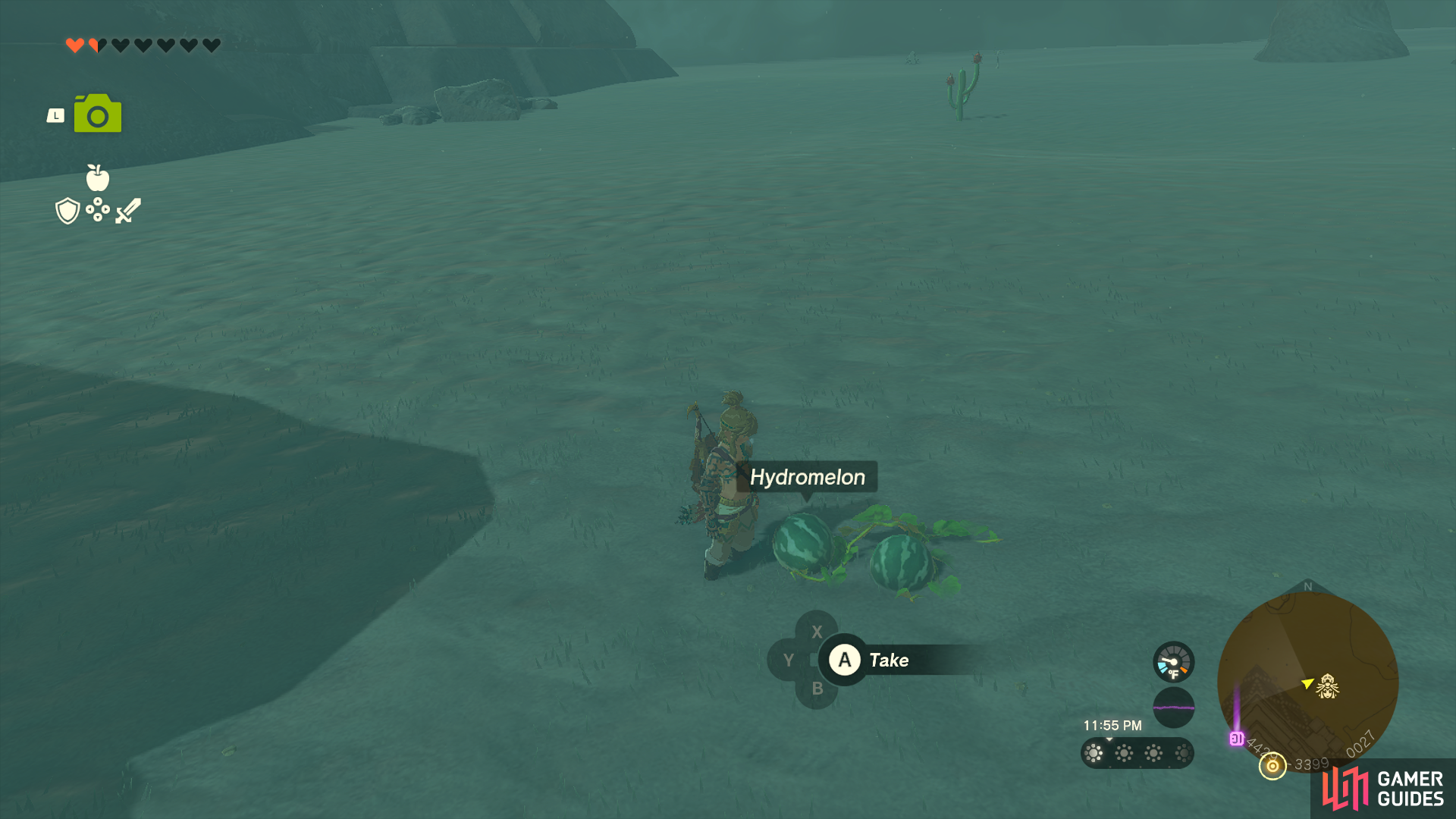 Hydromelon - The Legend of Zelda: Tears of the Kingdom Database | Gamer ...