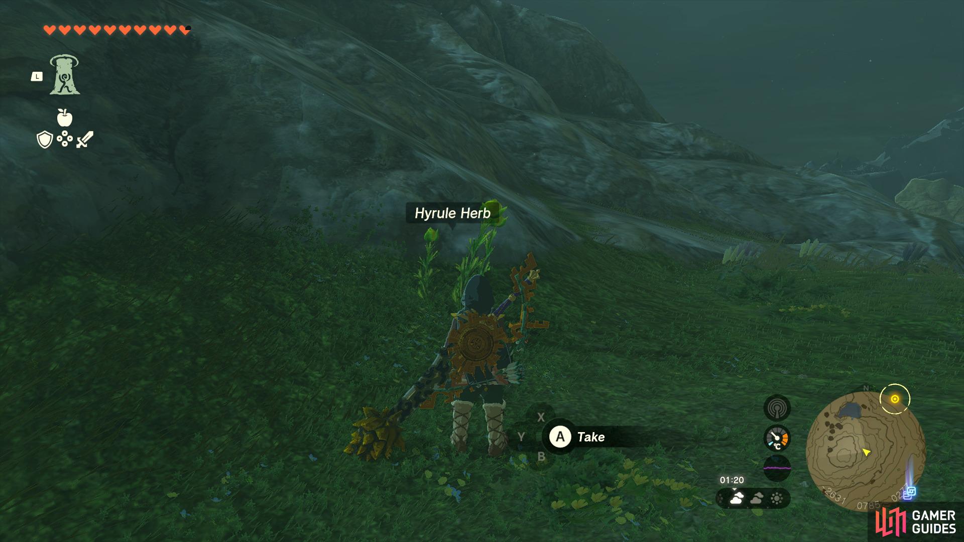 Hyrule Herb - The Legend of Zelda: Tears of the Kingdom Database ...