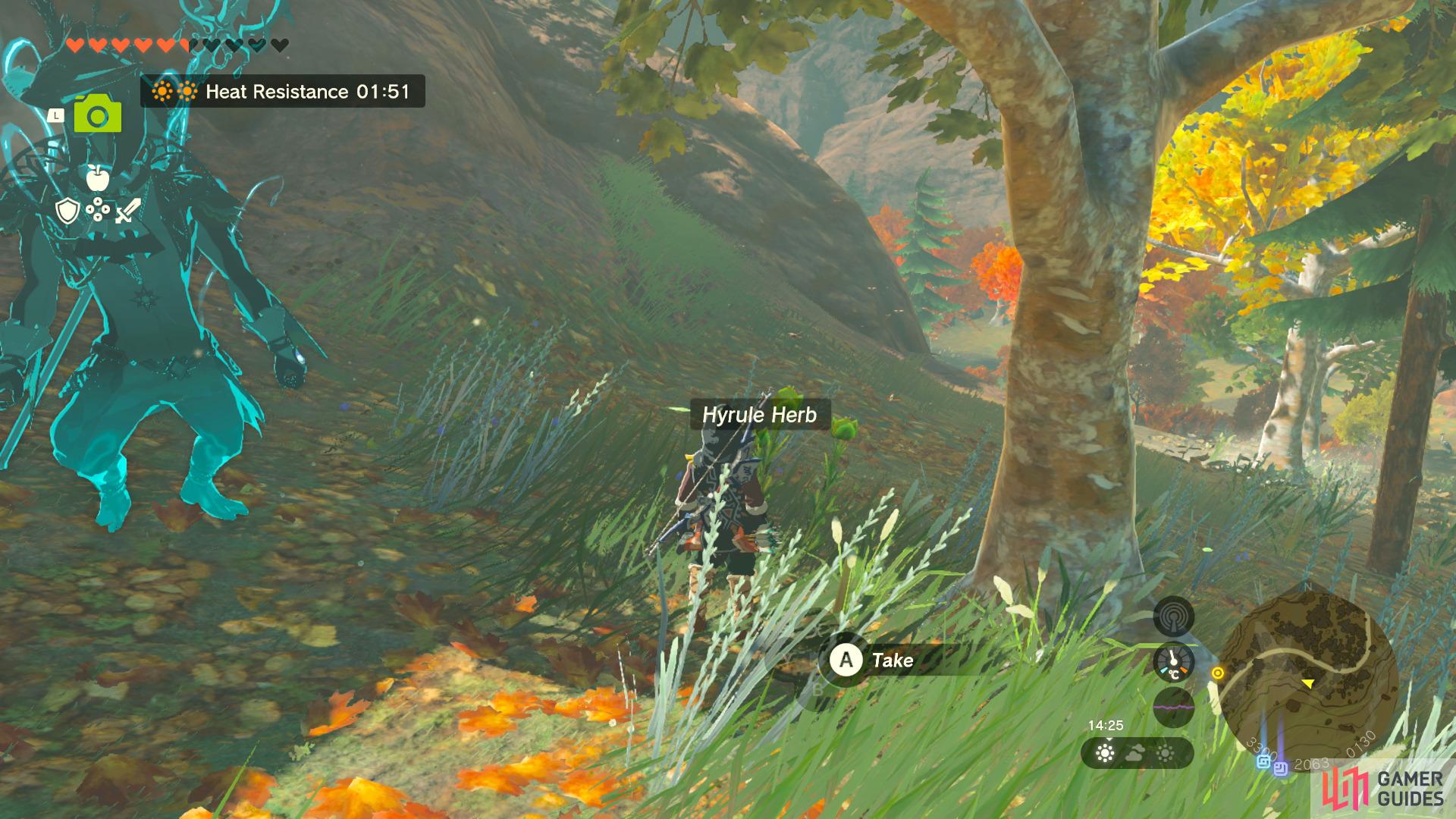 Hyrule Herb - The Legend of Zelda: Tears of the Kingdom Database ...