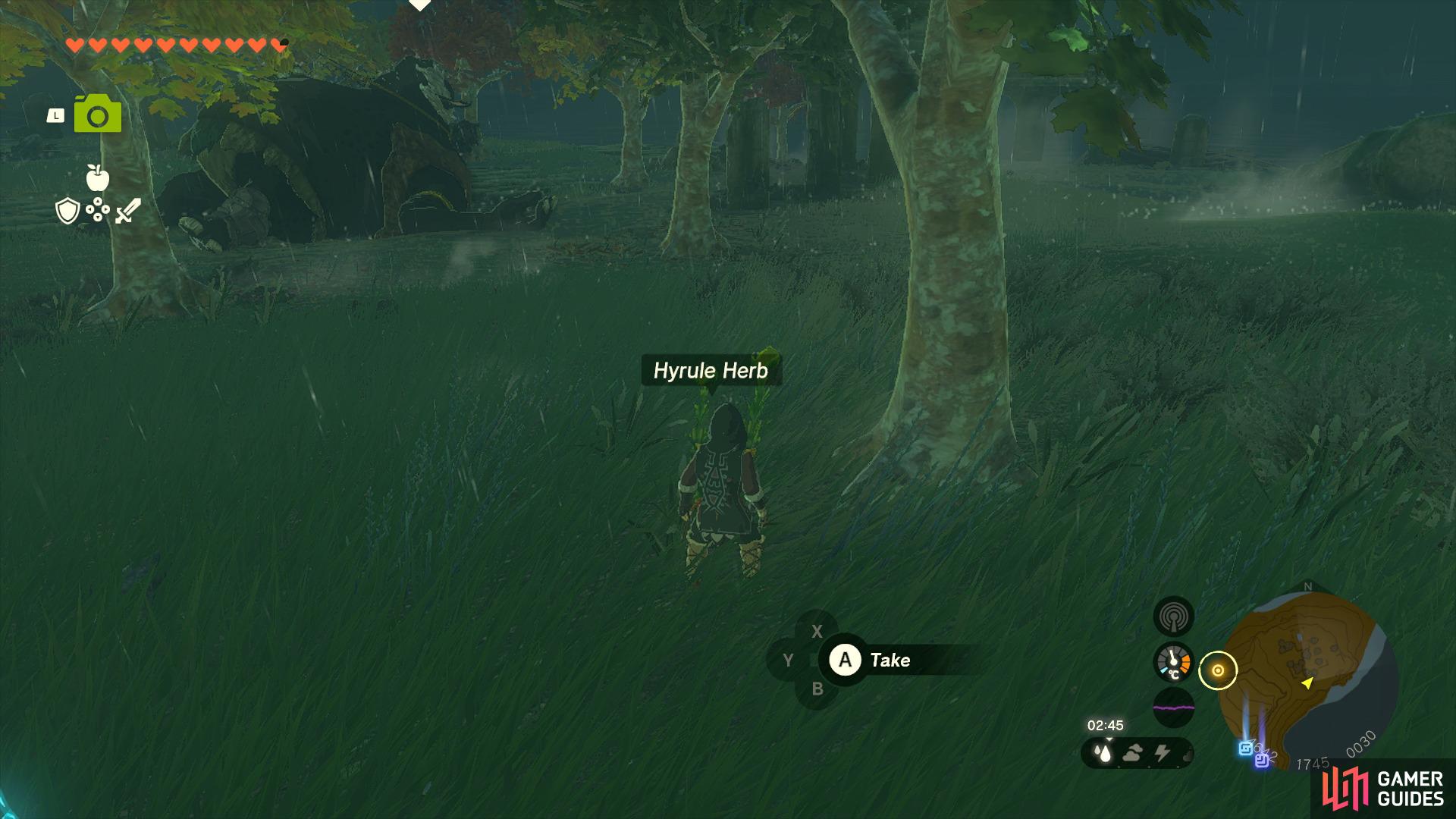 Hyrule Herb - The Legend of Zelda: Tears of the Kingdom Database ...