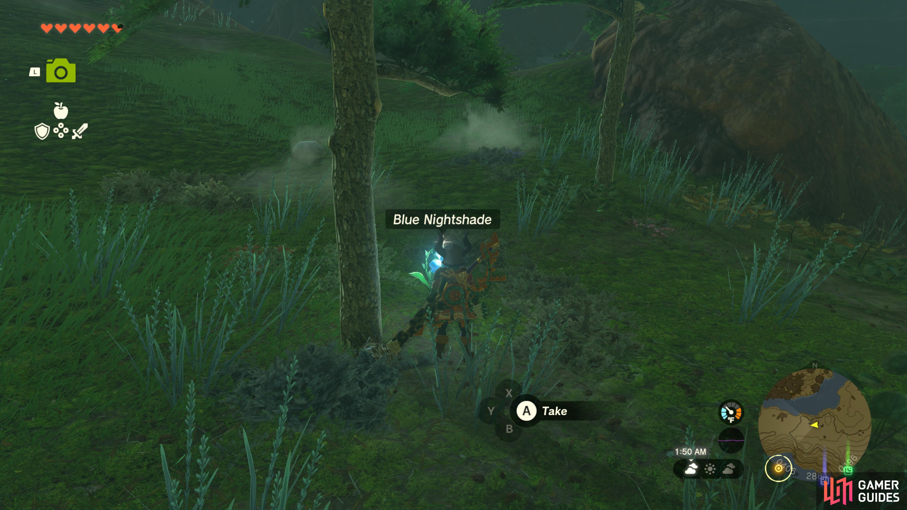 Blue Nightshade - The Legend of Zelda: Tears of the Kingdom Database ...