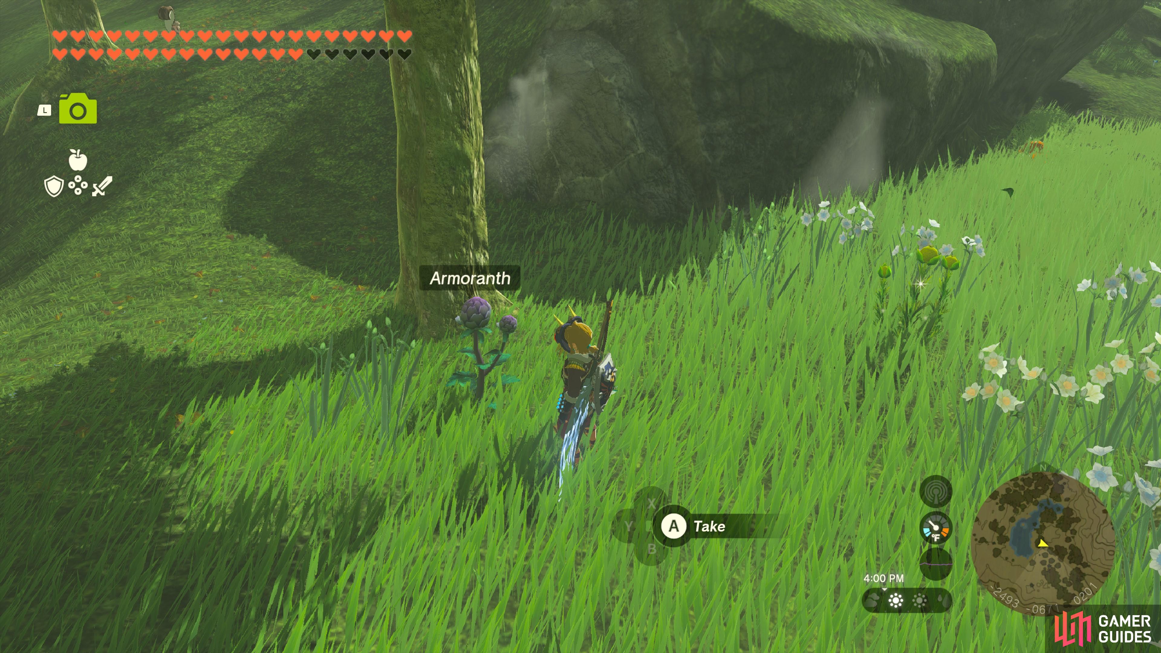 Armoranth - The Legend of Zelda: Tears of the Kingdom Database | Gamer ...