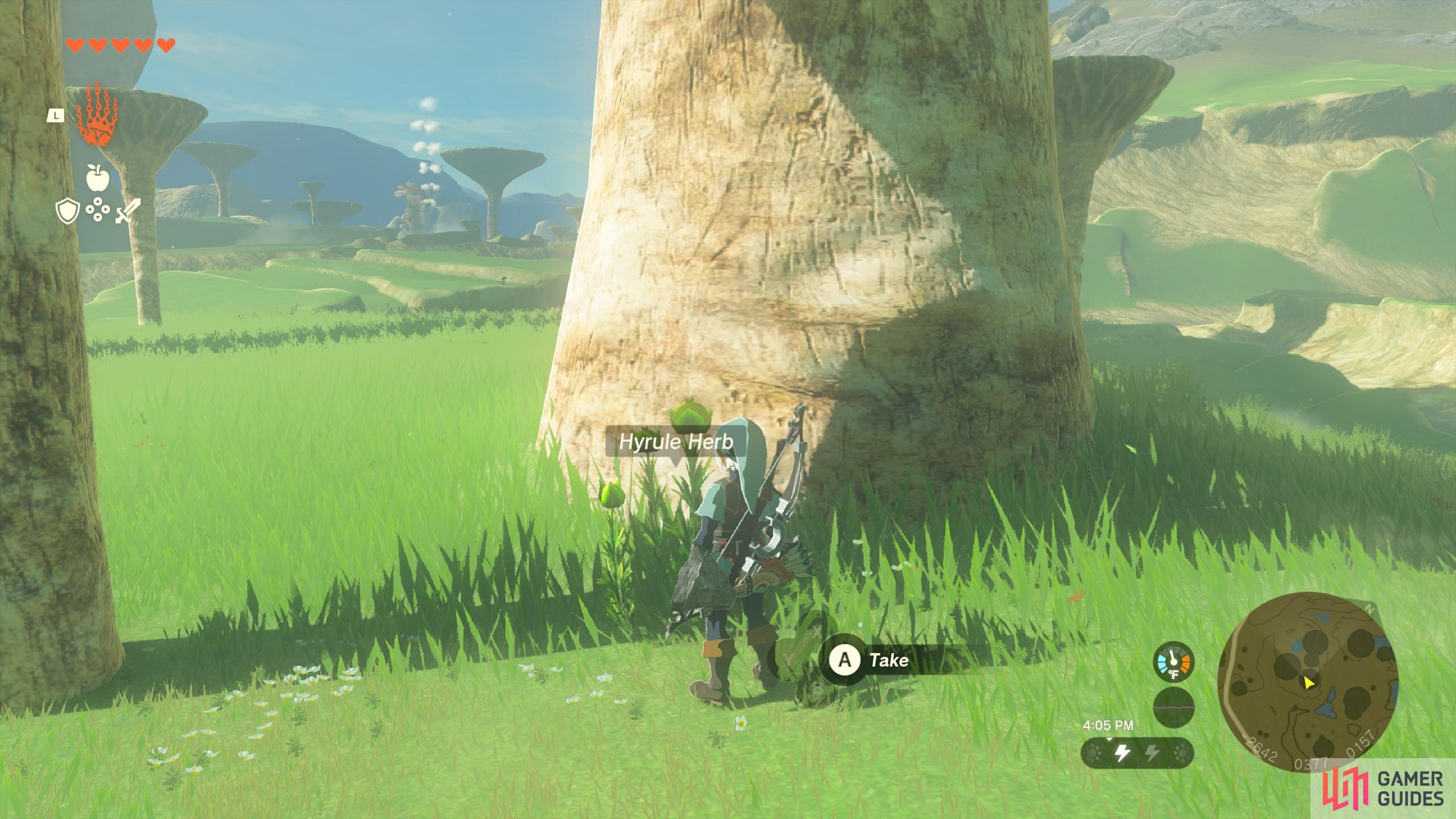 Hyrule Herb - The Legend of Zelda: Tears of the Kingdom Database ...