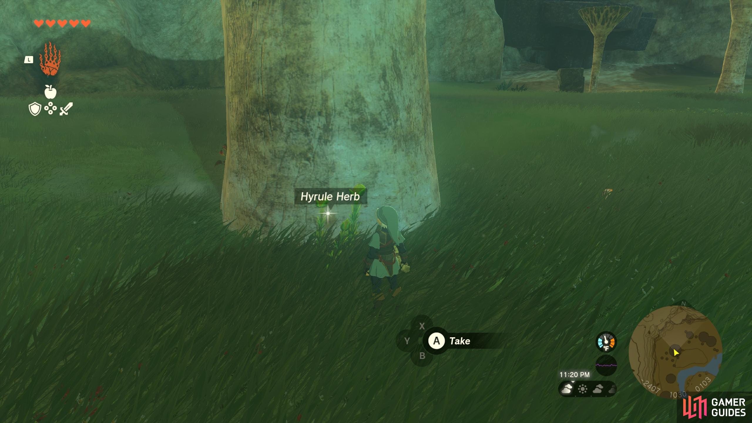 Hyrule Herb - The Legend of Zelda: Tears of the Kingdom Database ...