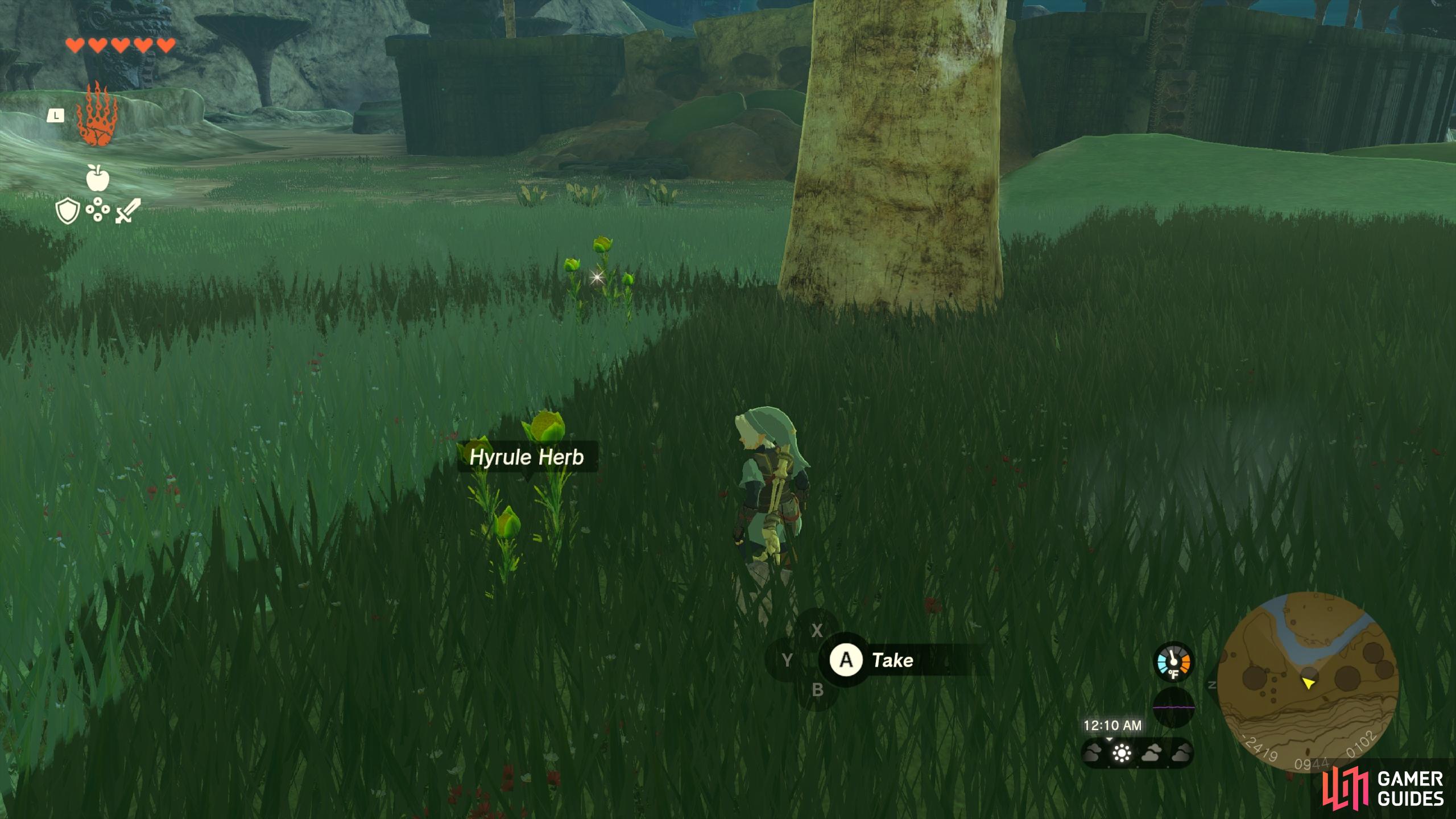Hyrule Herb - The Legend of Zelda: Tears of the Kingdom Database ...