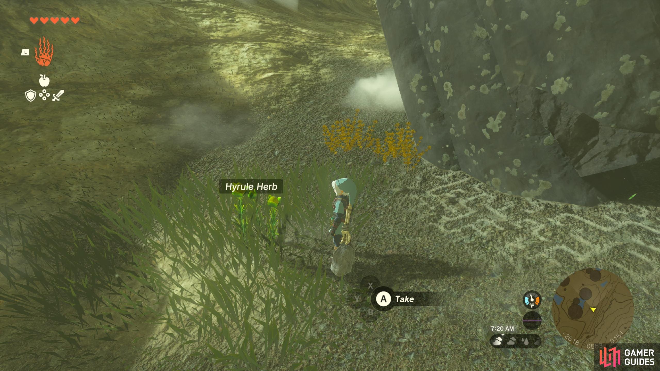 Hyrule Herb - The Legend of Zelda: Tears of the Kingdom Database ...