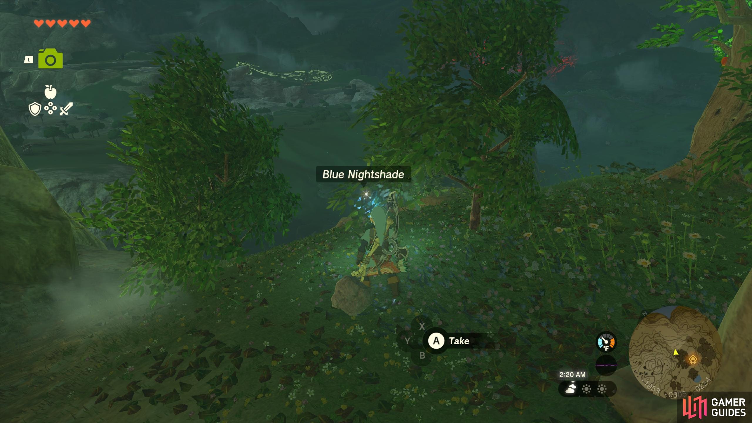 Blue Nightshade - The Legend of Zelda: Tears of the Kingdom Database ...