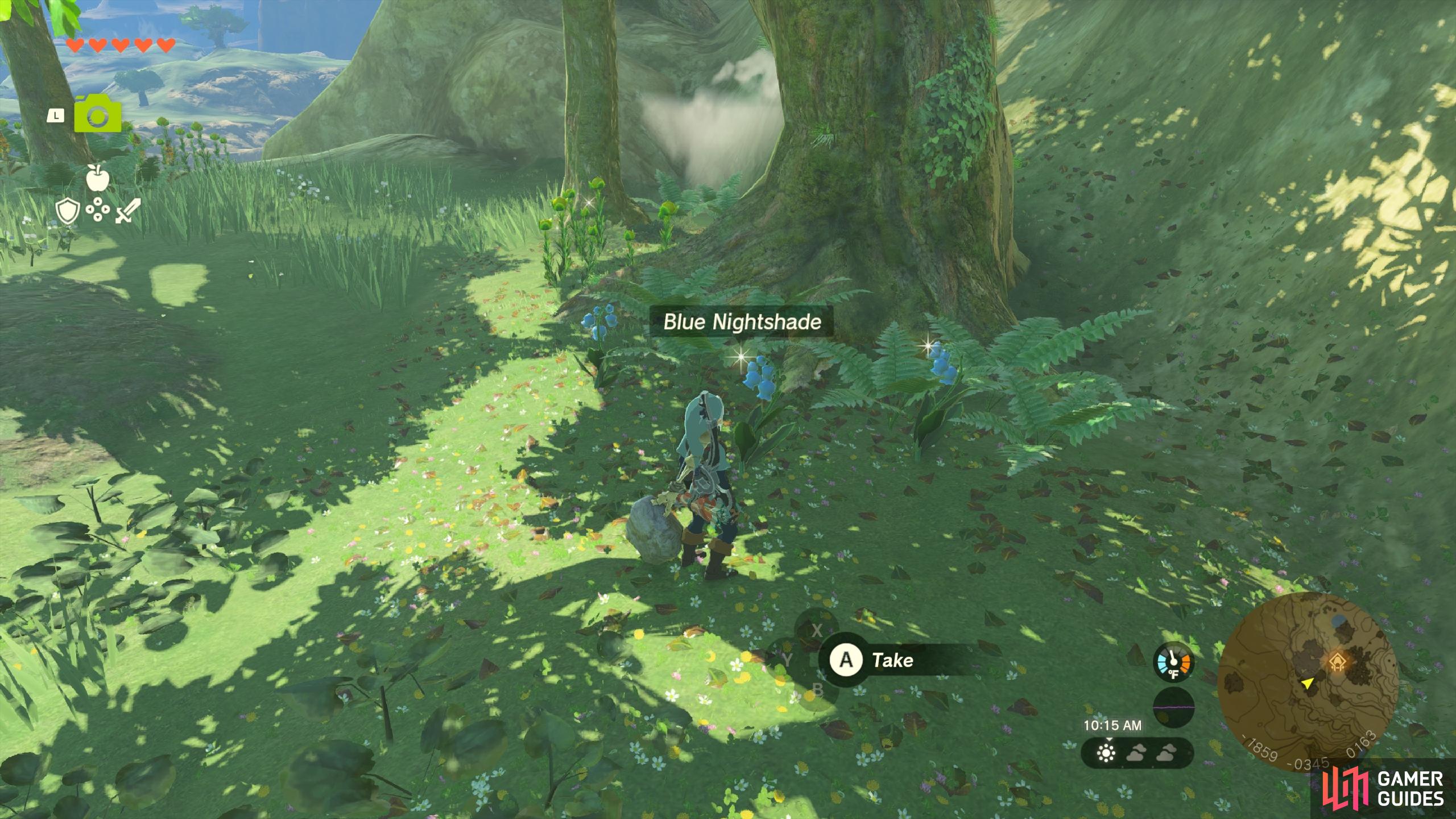 Blue Nightshade - The Legend of Zelda: Tears of the Kingdom Database ...