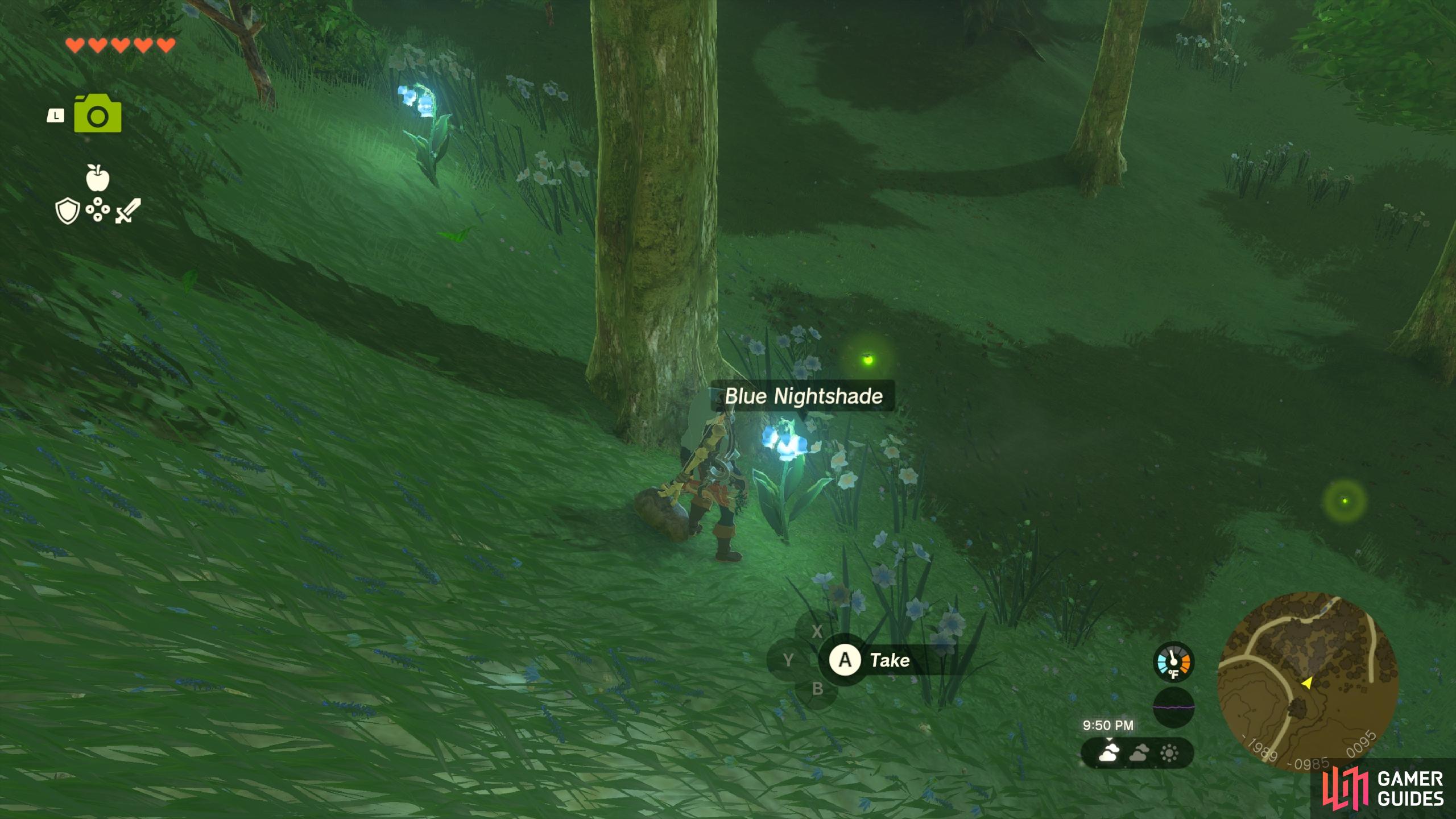 Blue Nightshade - The Legend of Zelda: Tears of the Kingdom Database ...