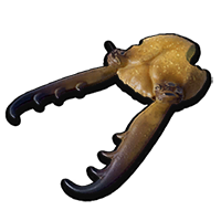 Antlion Pincer - Grounded Database | Gamer Guides®