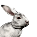 Pets - Conan Exiles Database | Gamer Guides®
