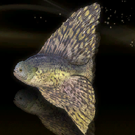 Fishing - Final Fantasy XV Database | Gamer Guides®