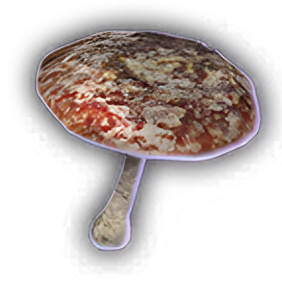 Rotten Mushroom - Baldur's Gate 3 Database | Gamer Guides®