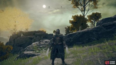 Hookclaws - Elden Ring - Claws - Weapons | Gamer Guides®