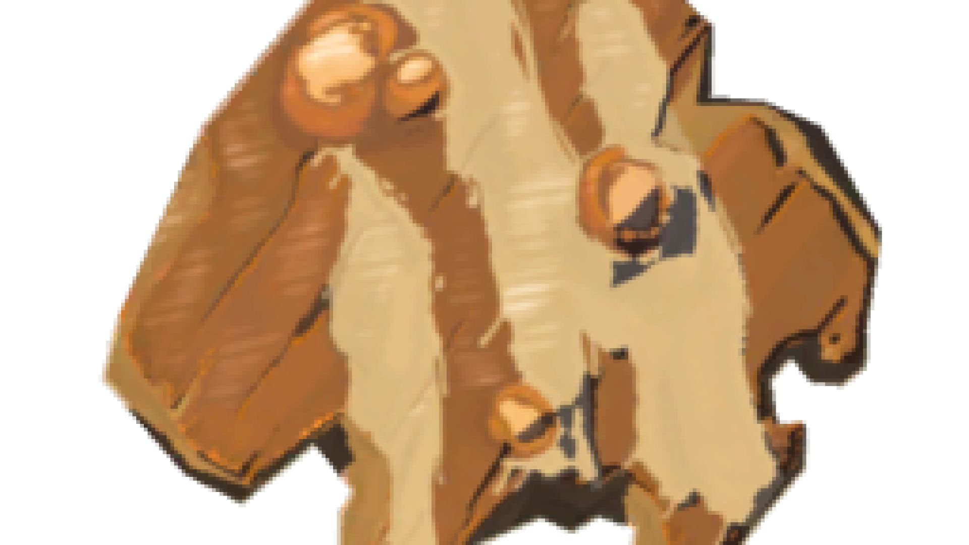 Boko Shield - The Legend of Zelda: Tears of the Kingdom Database ...