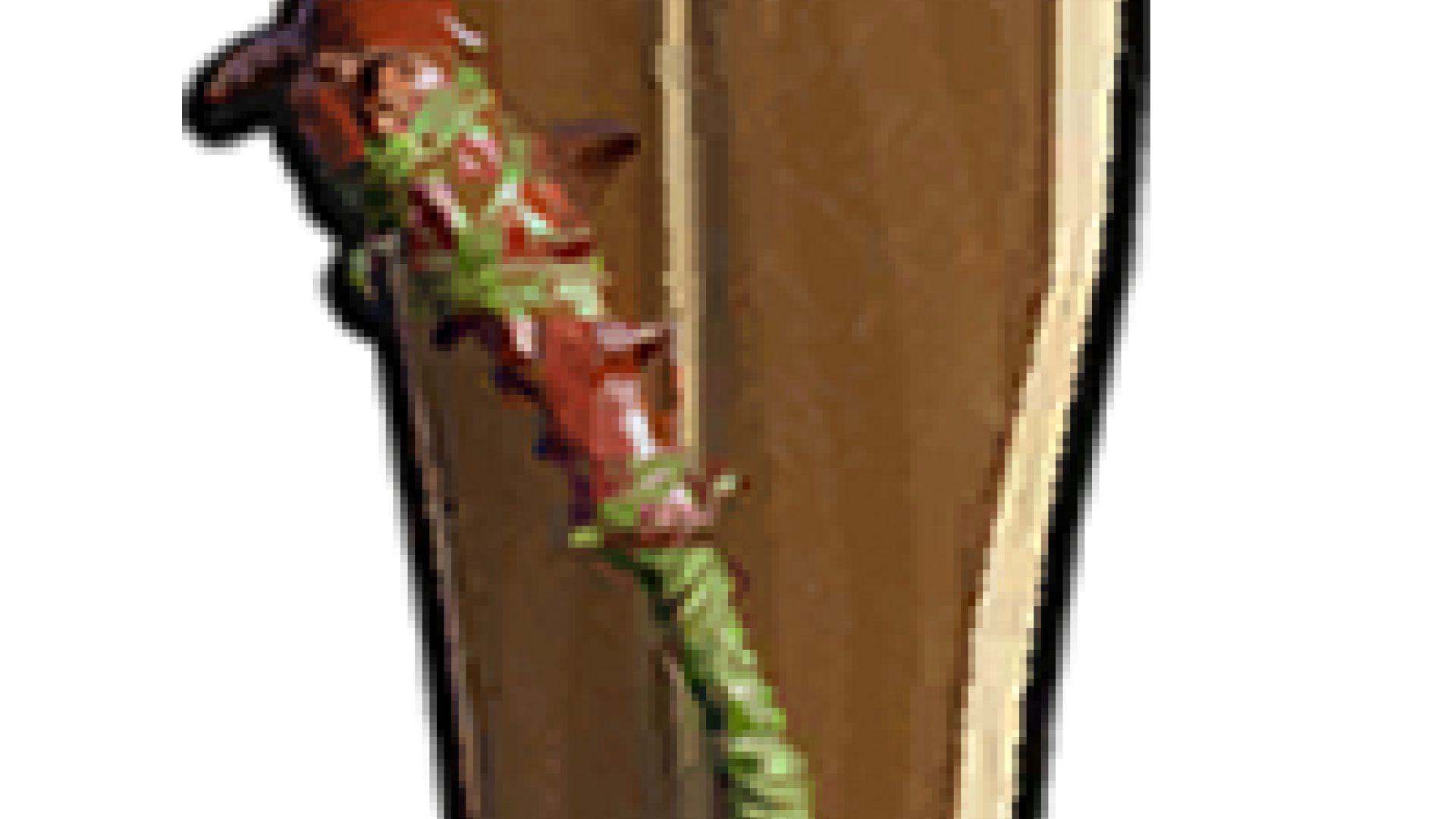 Weapon Wall Mount - Grounded Database | Gamer Guides®