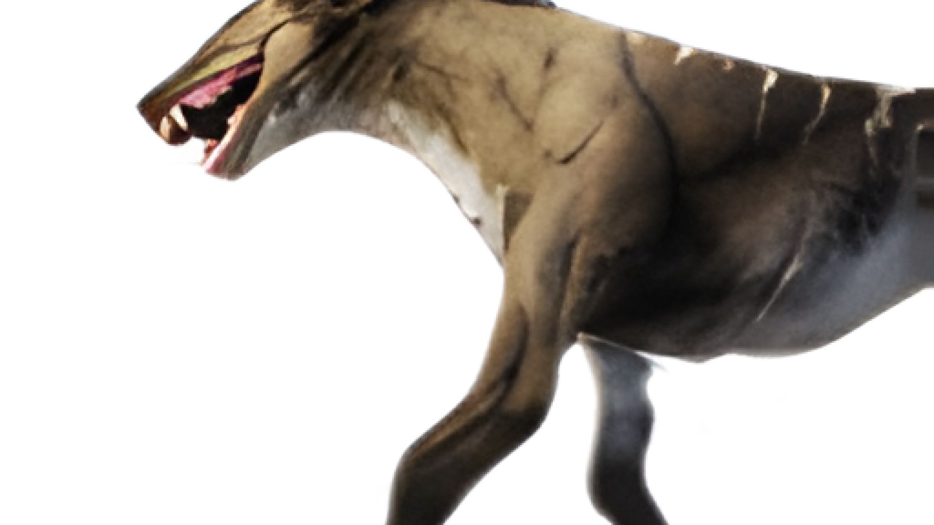 Aardwolf Carcass - Conan Exiles Database | Gamer Guides®