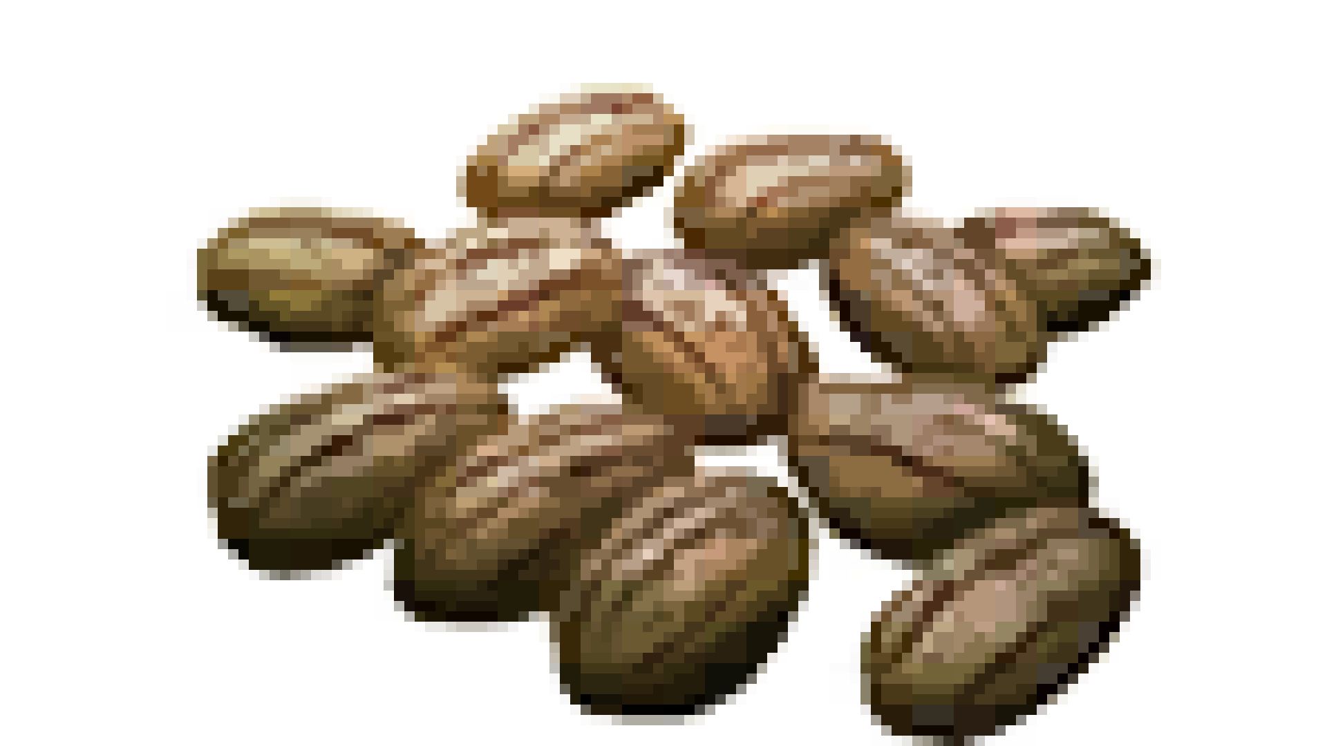 Seeds - Conan Exiles Database | Gamer Guides®