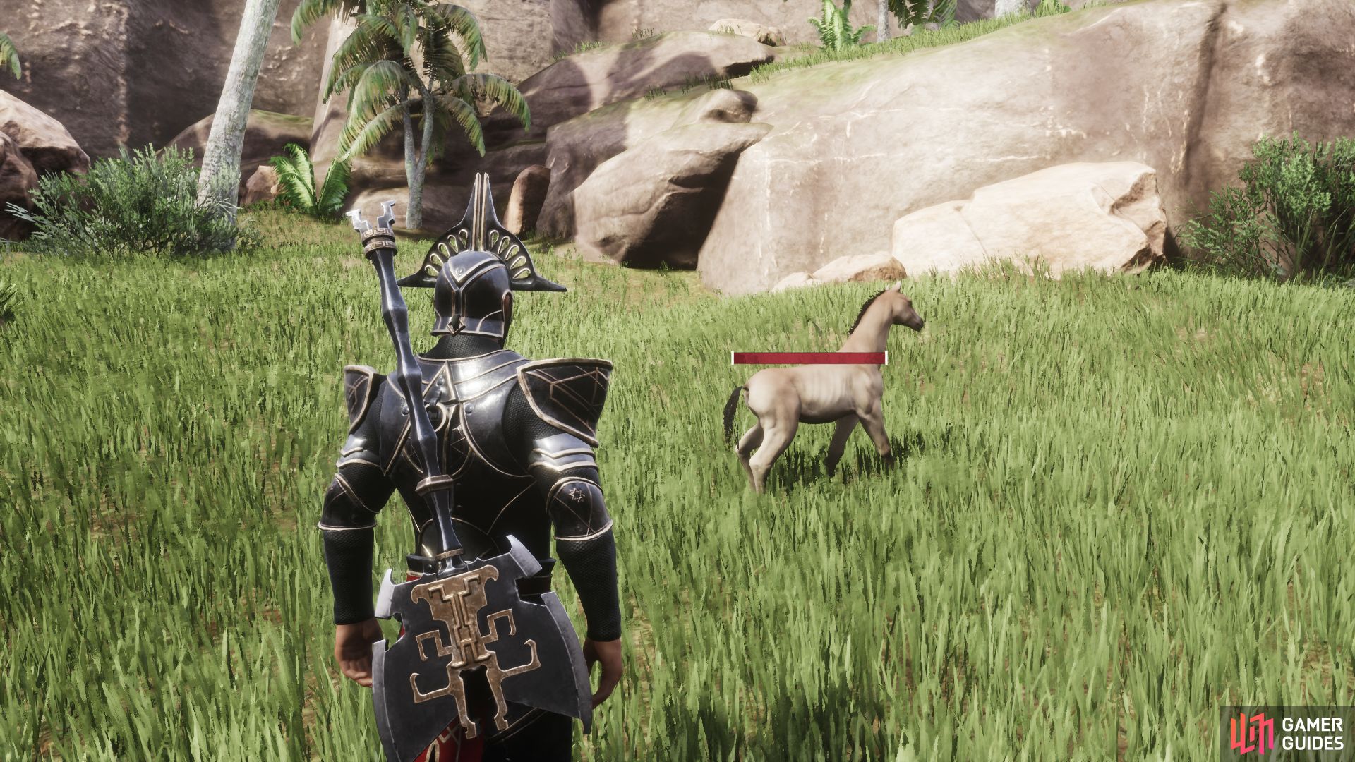 Food For Horse Conan Exiles at Gilberto Mccord blog