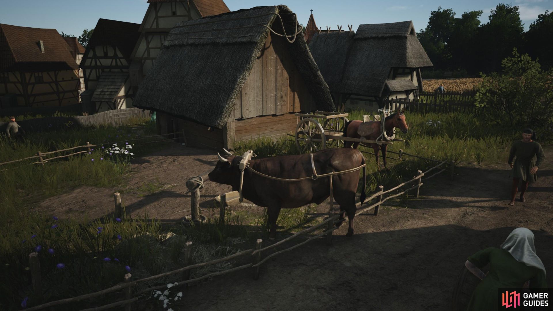 Livestock Explained - Farming - Resources | Manor Lords | Gamer Guides®
