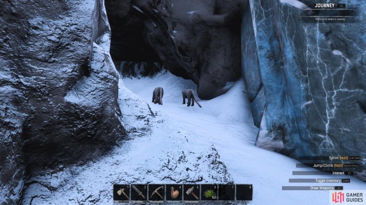 Sabretooth Cub - Conan Exiles Database | Gamer Guides®